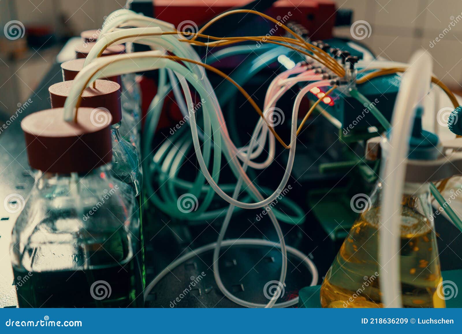 Experimental Setup for Enzymatic Synthesis by Genetically Modified ...