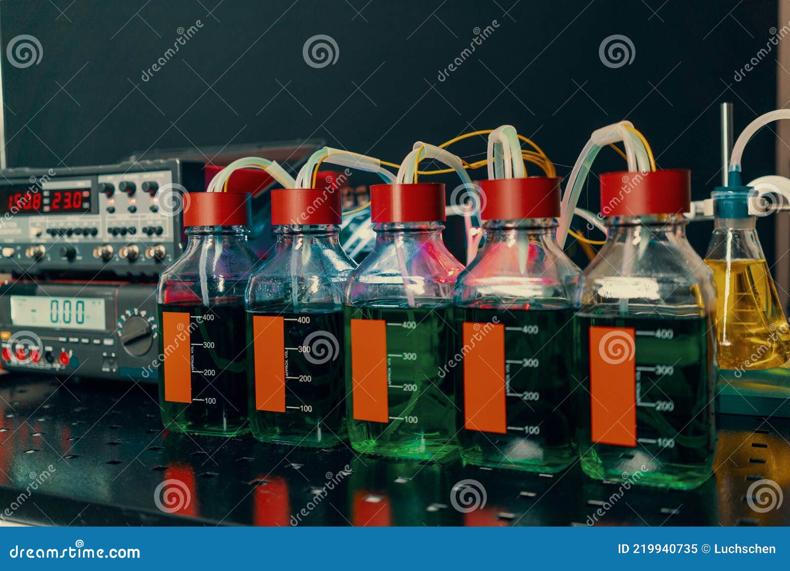 Experimental Setup for Enzymatic Synthesis by Genetically Modified ...