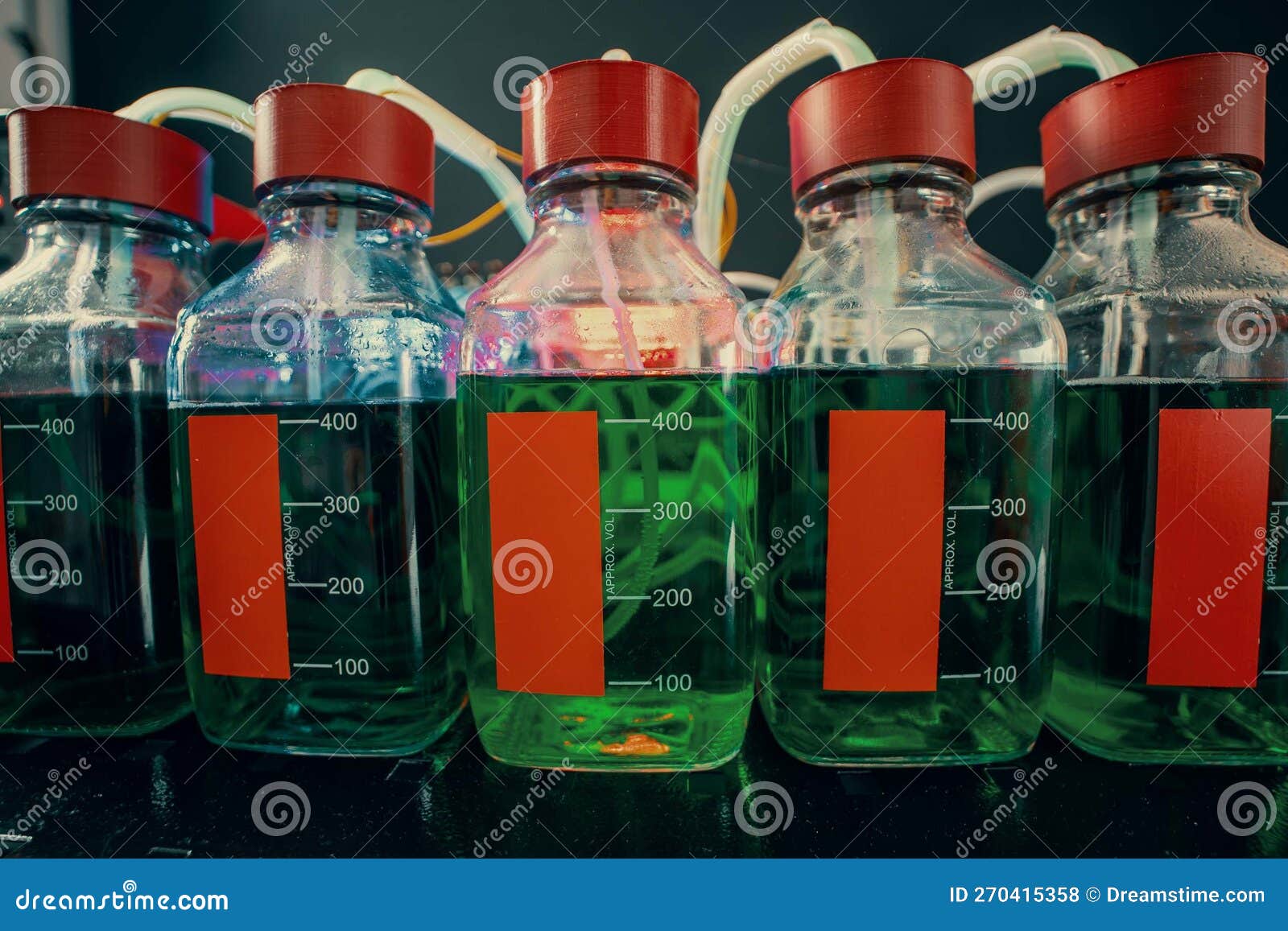 Experimental Setup for Enzymatic Synthesis by Genetically Modified ...
