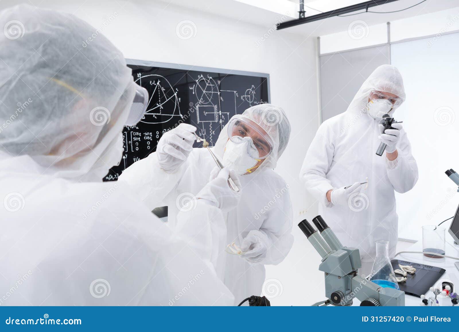 Experimental Studies in a Chemistry Lab Stock Photo - Image of ...