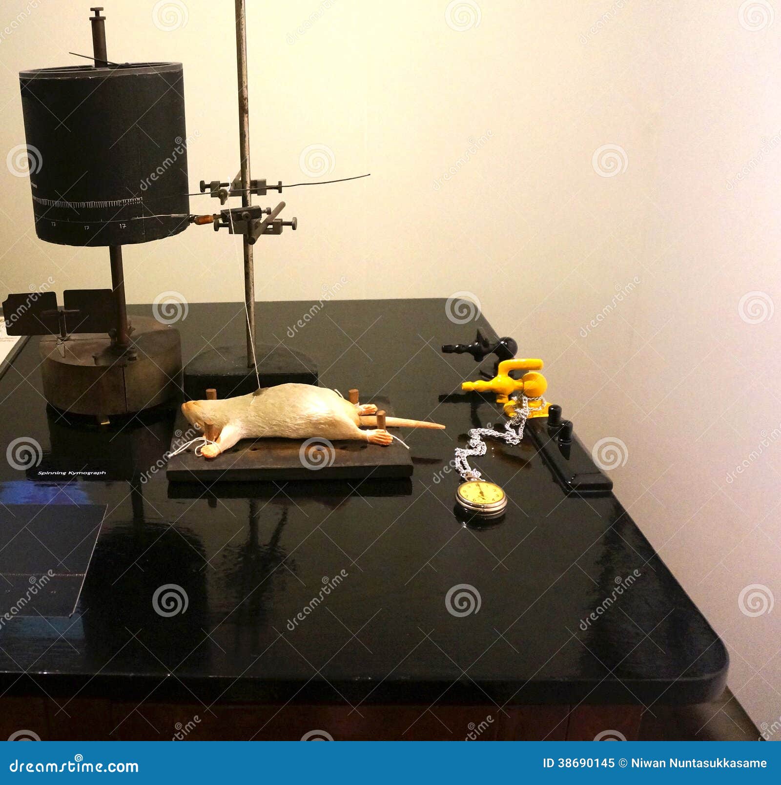 Experimenten Die Muizen in Oud Met Behulp Van Stock Afbeelding - Image ...