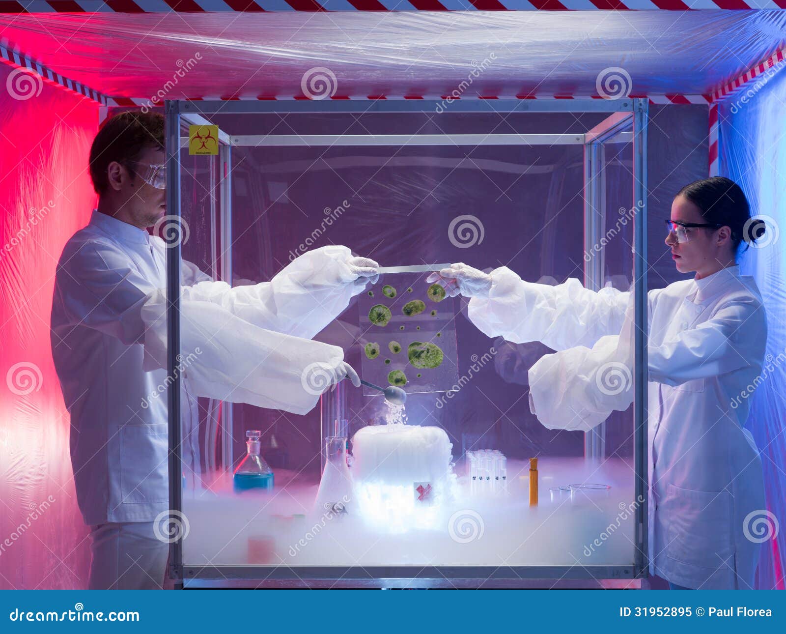 Experimenting with Microorganisms in Protection Enclosure Stock Image ...