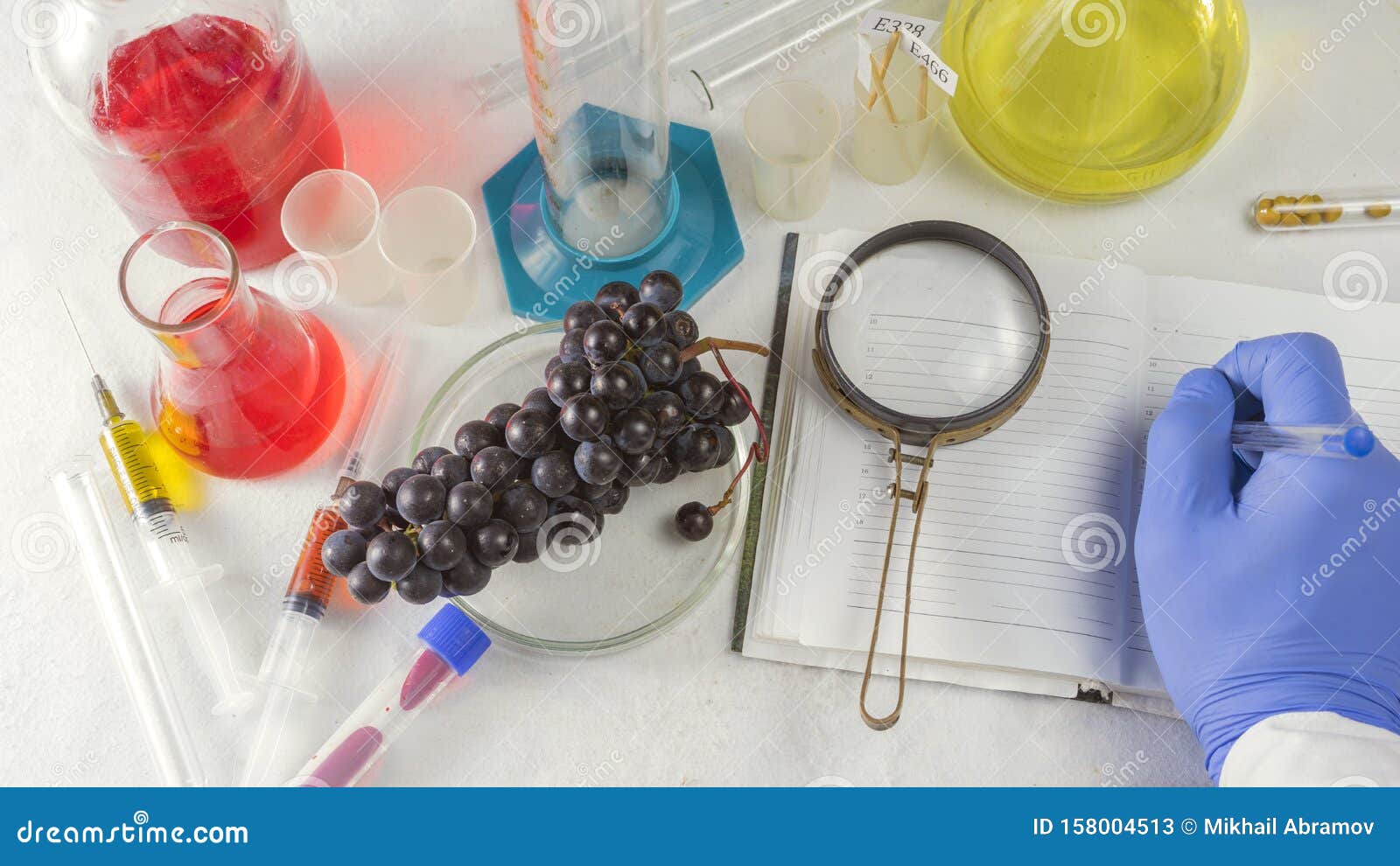 Experiments with Grape Fruits in the Laboratory. the Hand of a ...