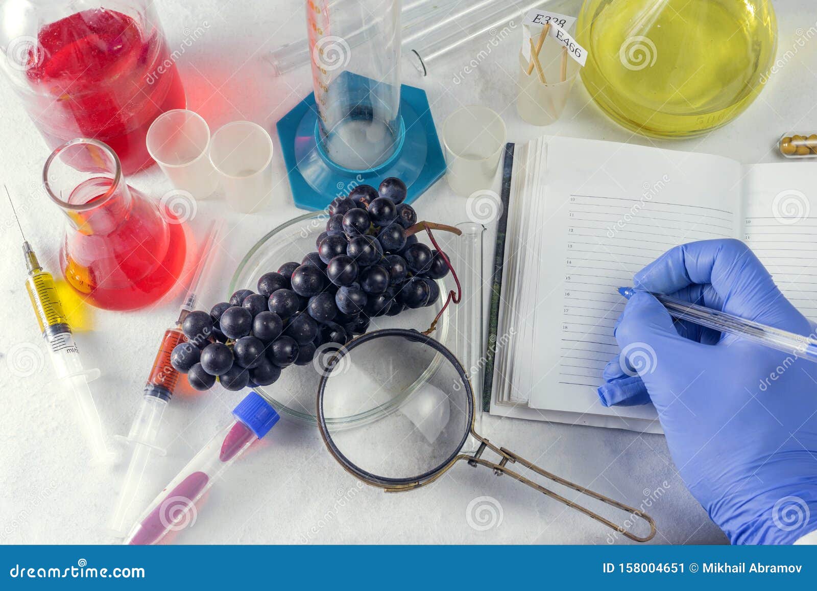 Experiments with Grape Fruits in the Laboratory. the Hand of a ...
