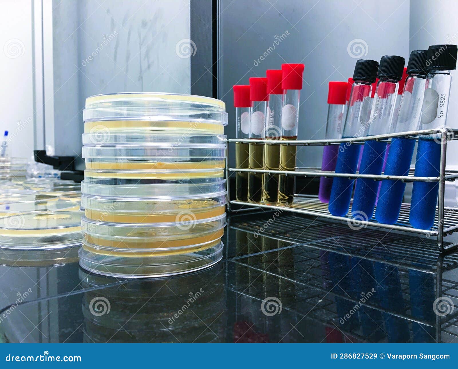 Laboratory Glassware Plate and Chemical Solution Background Image Stock ...