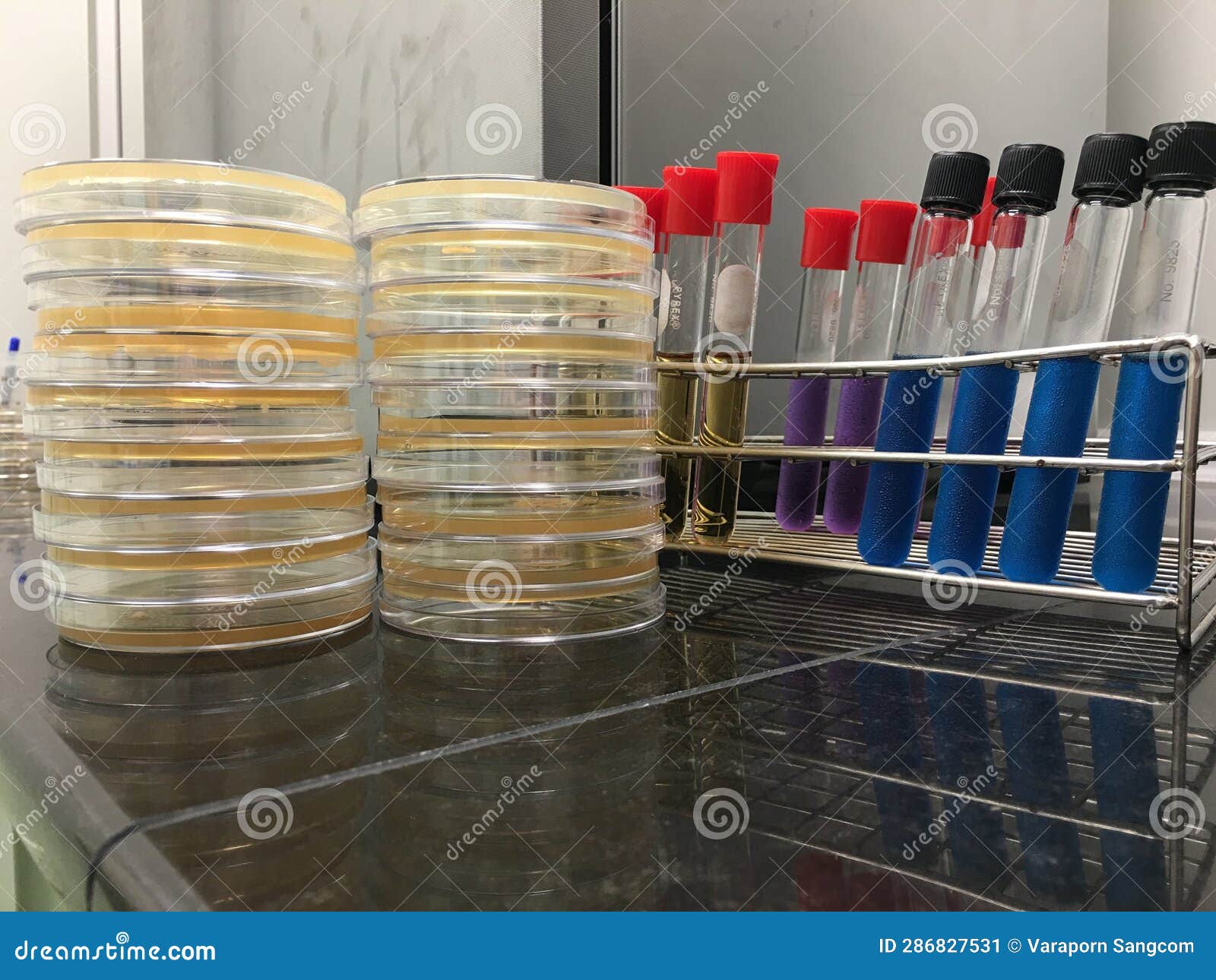 Laboratory Glassware Plate and Chemical Solution Background Image Stock ...