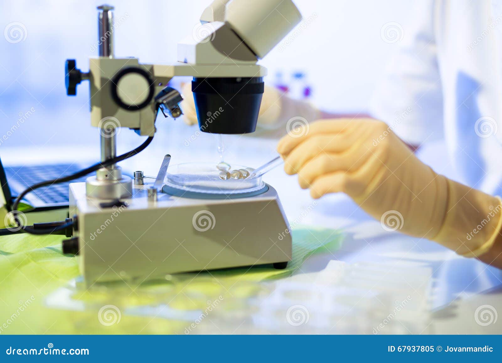 Experiments in the Laboratory Stock Image - Image of chemical ...