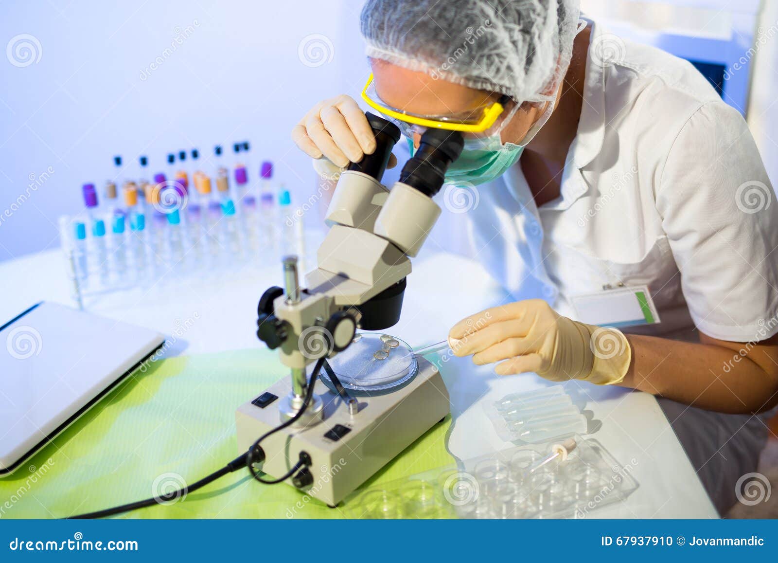 Experiments in the Laboratory Stock Photo - Image of chemical, agar ...