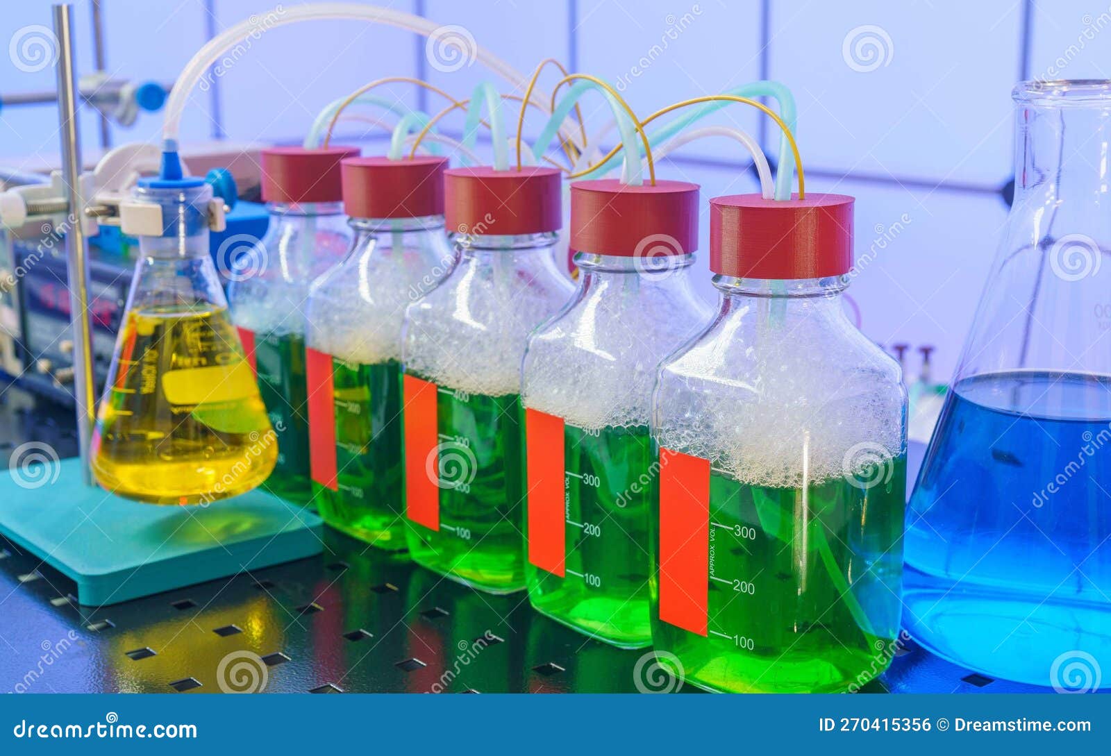 Experiments with Obtaining Electricity and Bacteria Processing ...