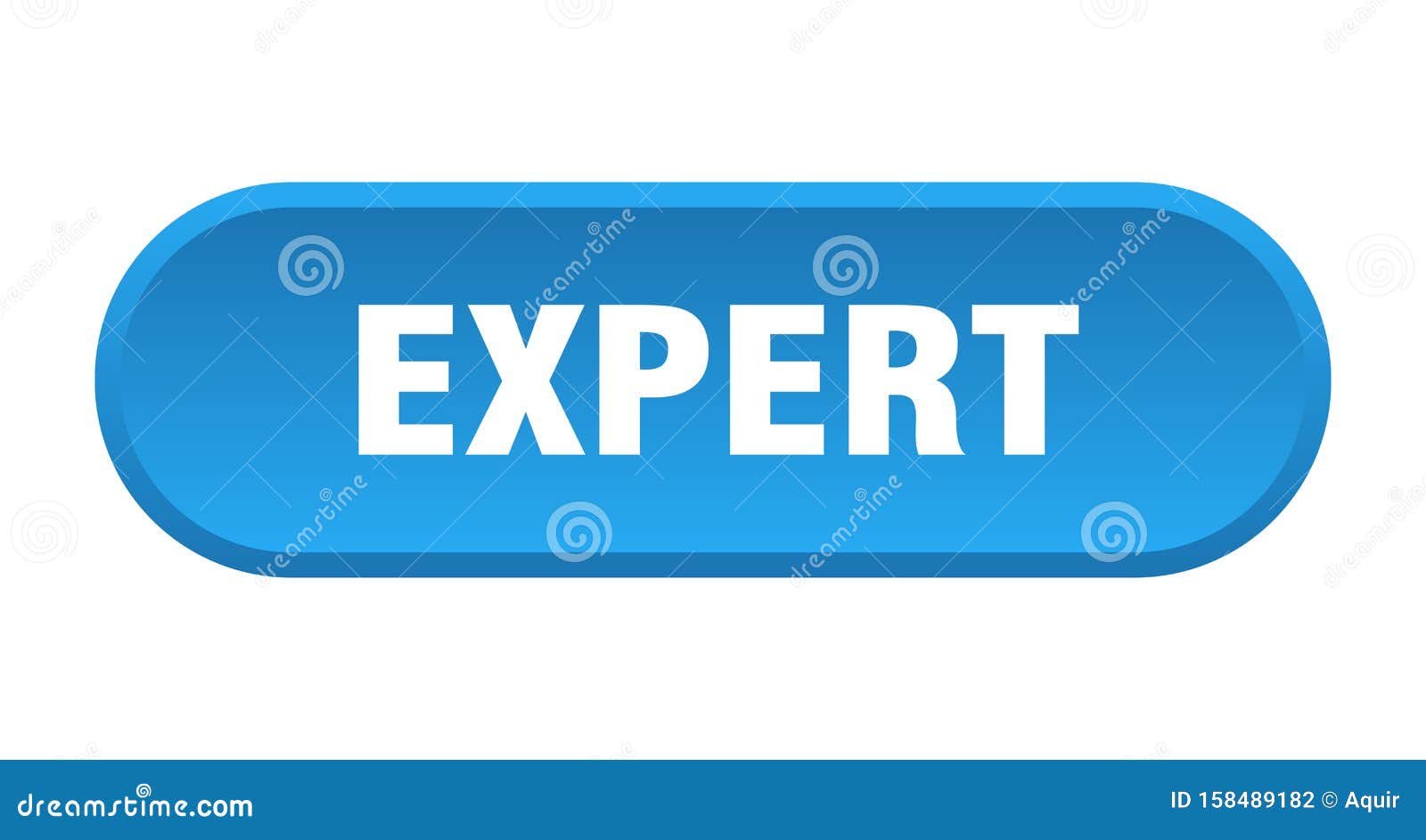 Expert button stock vector. Illustration of isolated - 158489182