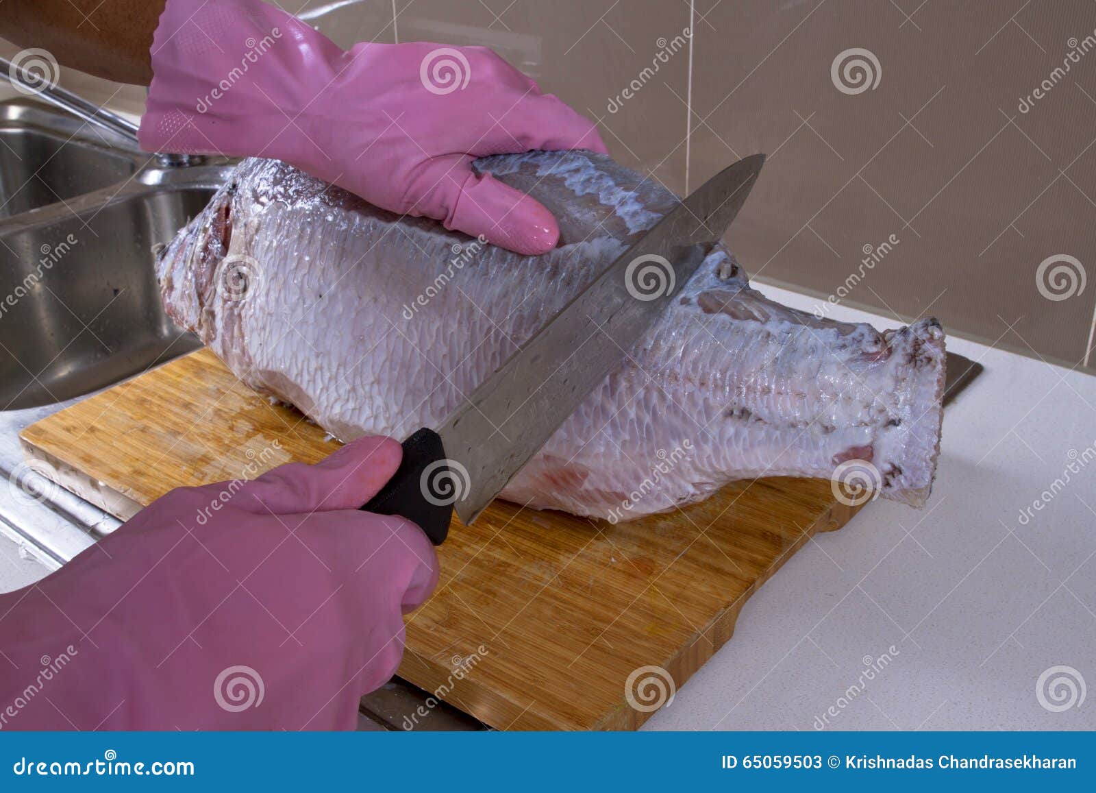 Expert Chef Cutting and Cleaning Big Fish in a Clean and Hygiene Stock ...