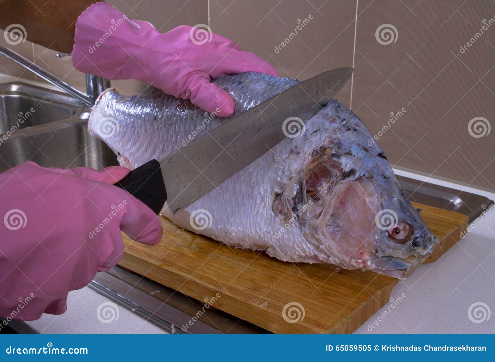 Expert Chef Cutting and Cleaning Big Fish in a Clean and Hygiene Stock ...