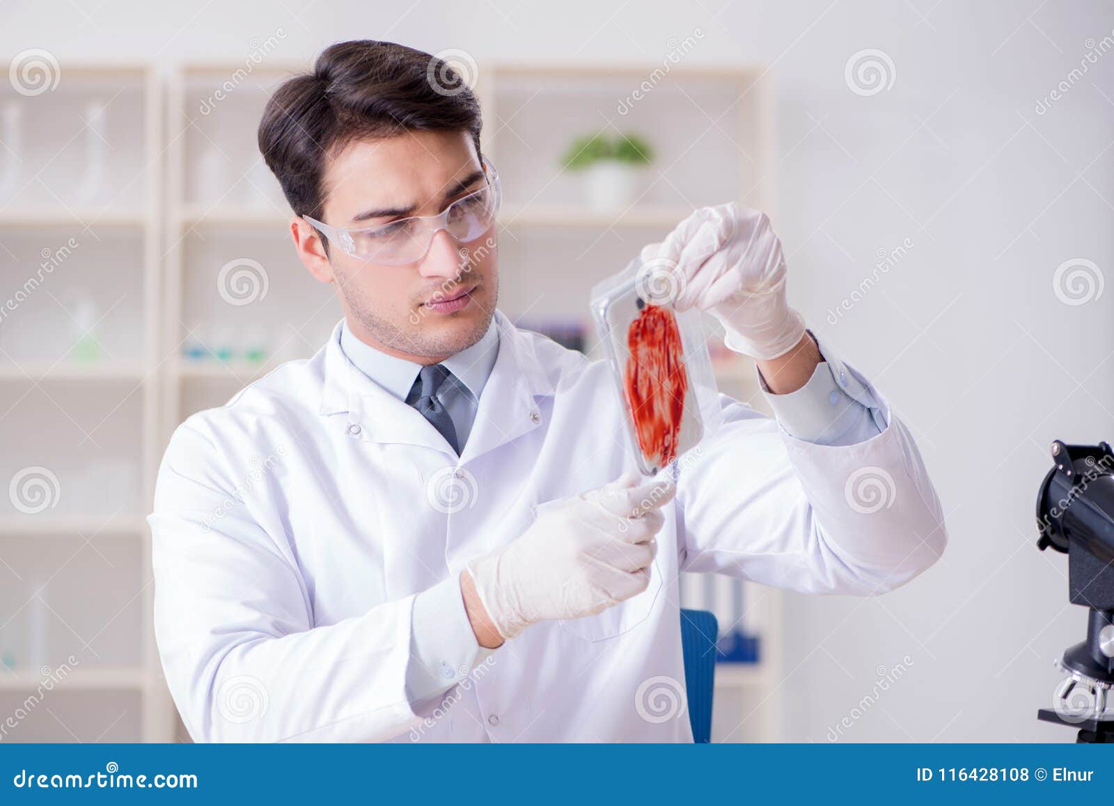 The Expert Criminologist Working in the Lab for Evidence Stock Photo ...