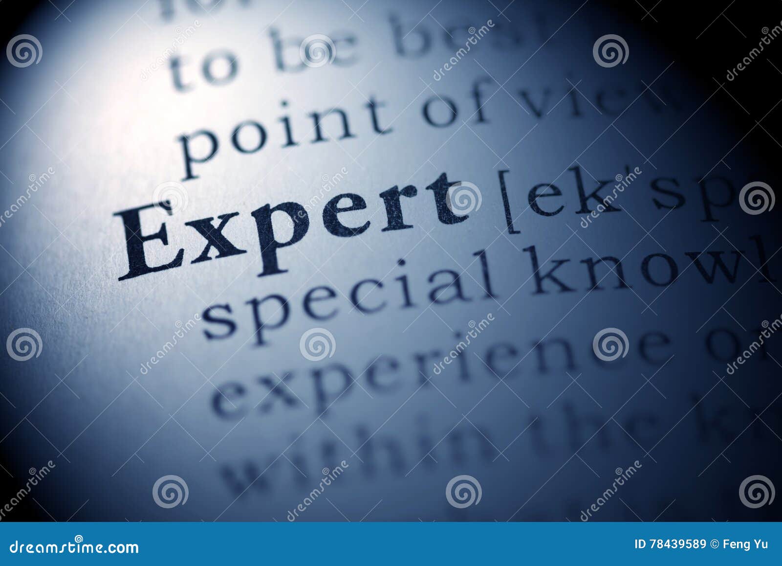 Expert stock image. Image of expert, page, information - 78439589