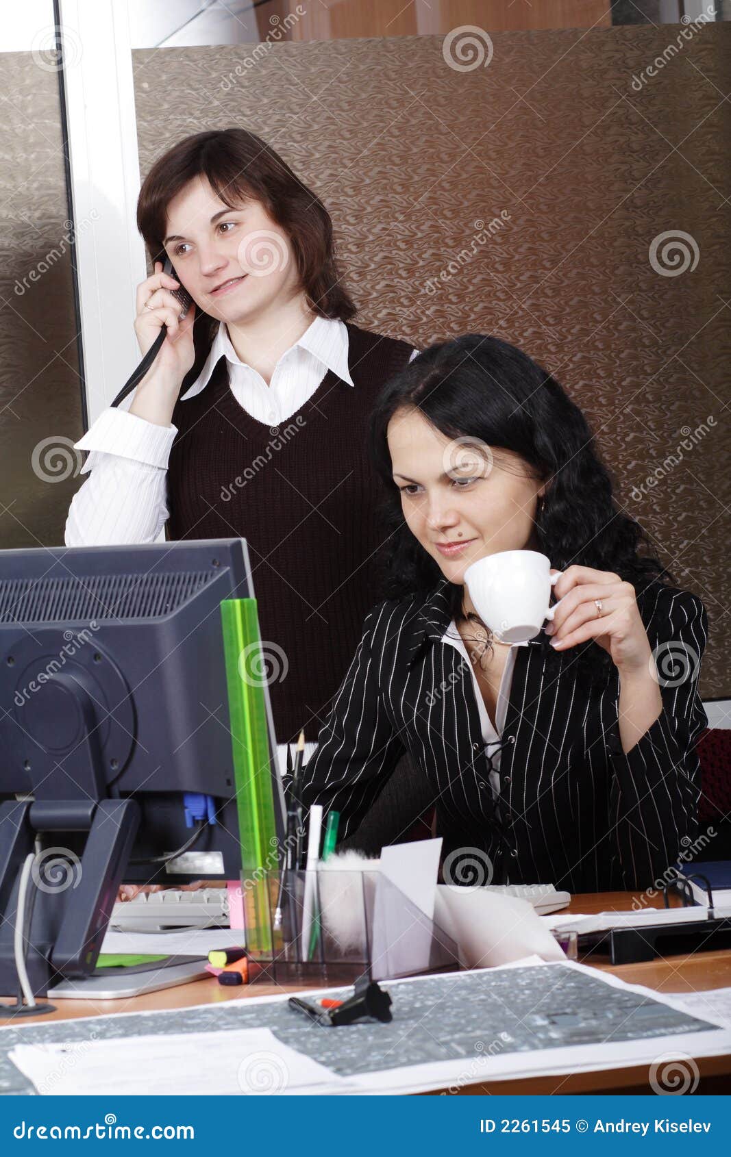 Expert females stock image. Image of computer, person - 2261545