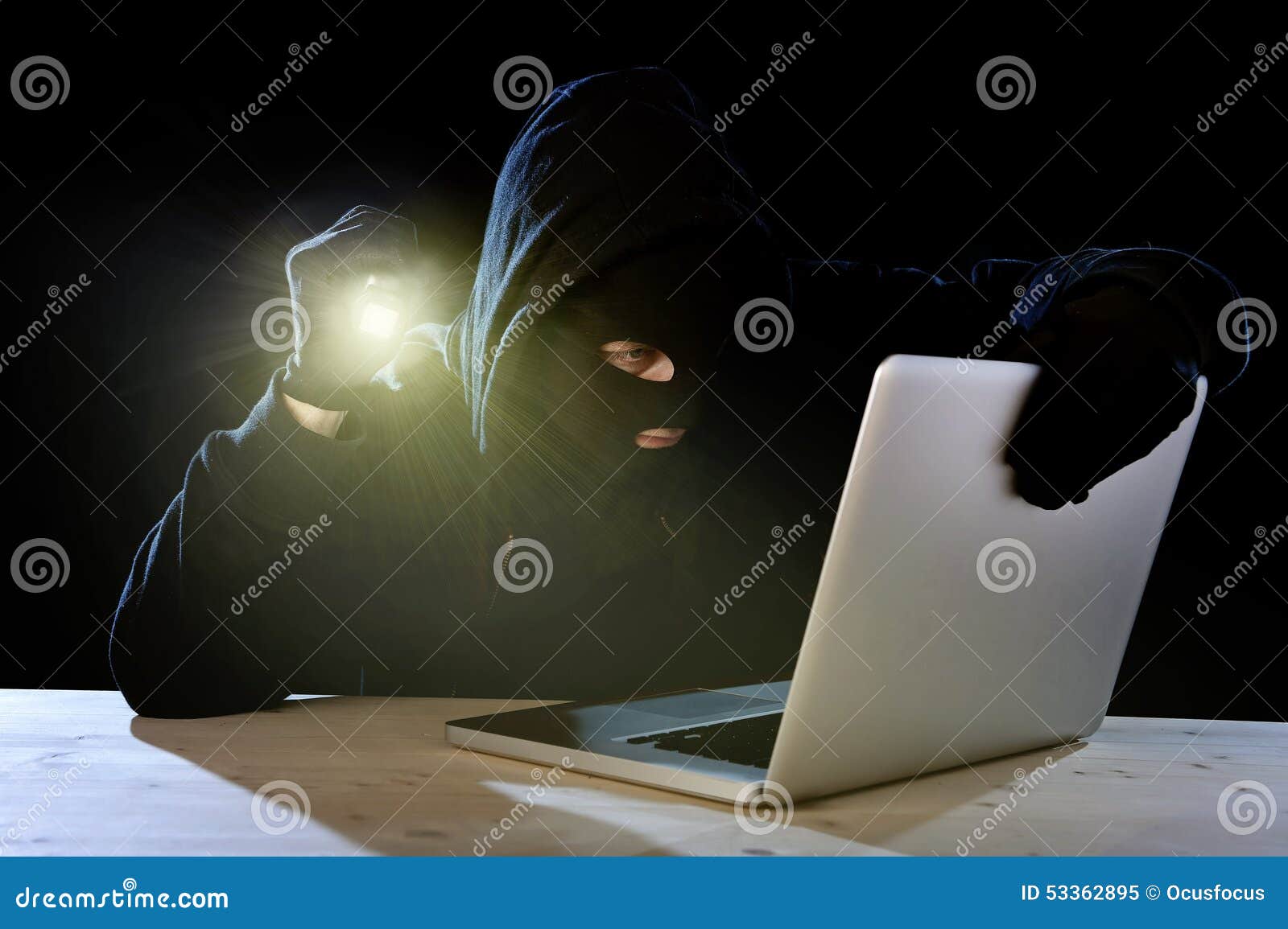 Expert Hacker with Computer Laptop Holding Flashlight Hacking System ...