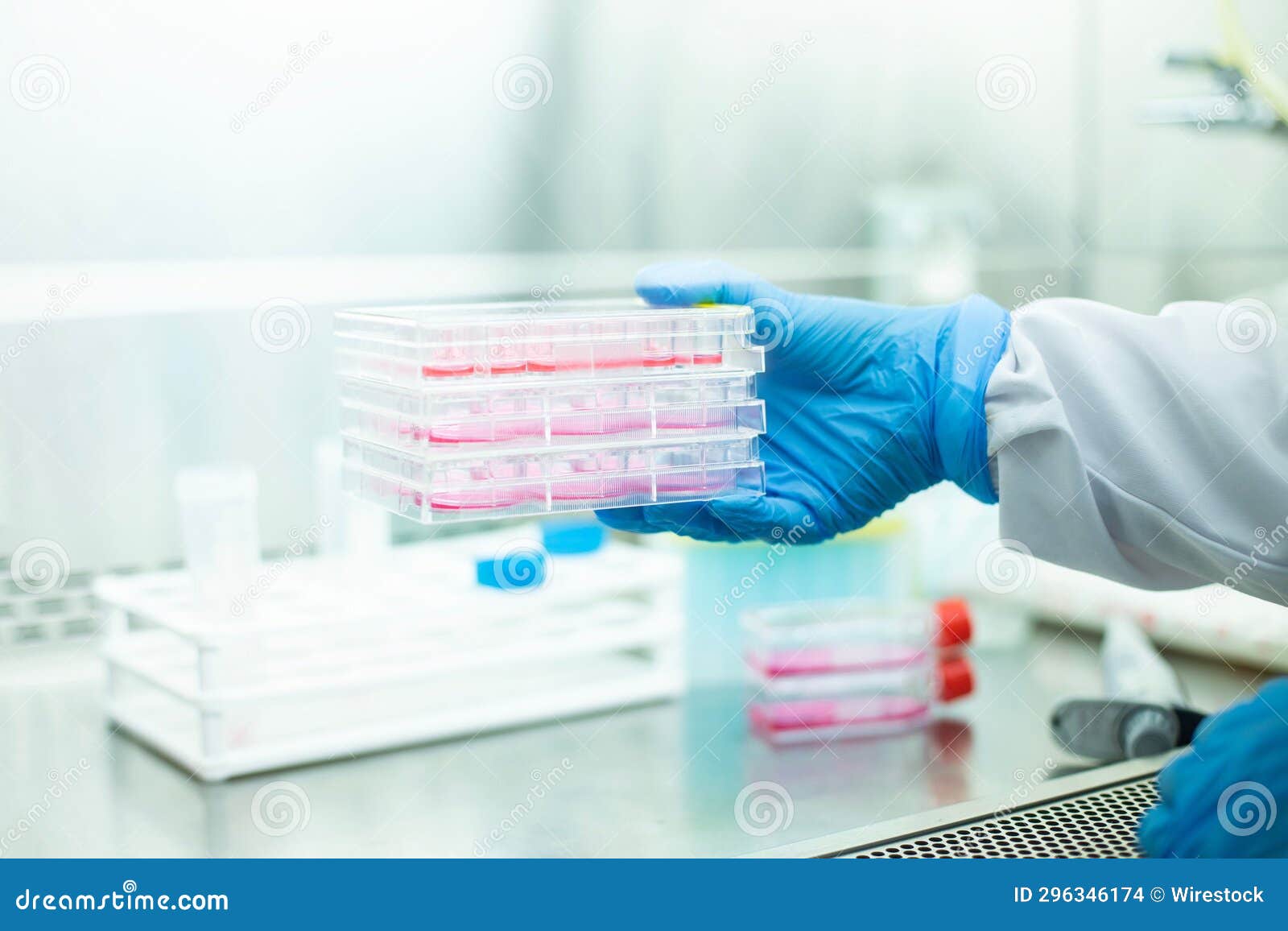 Expert Holding a Small Tray Filled with Red Sample for Experiments ...