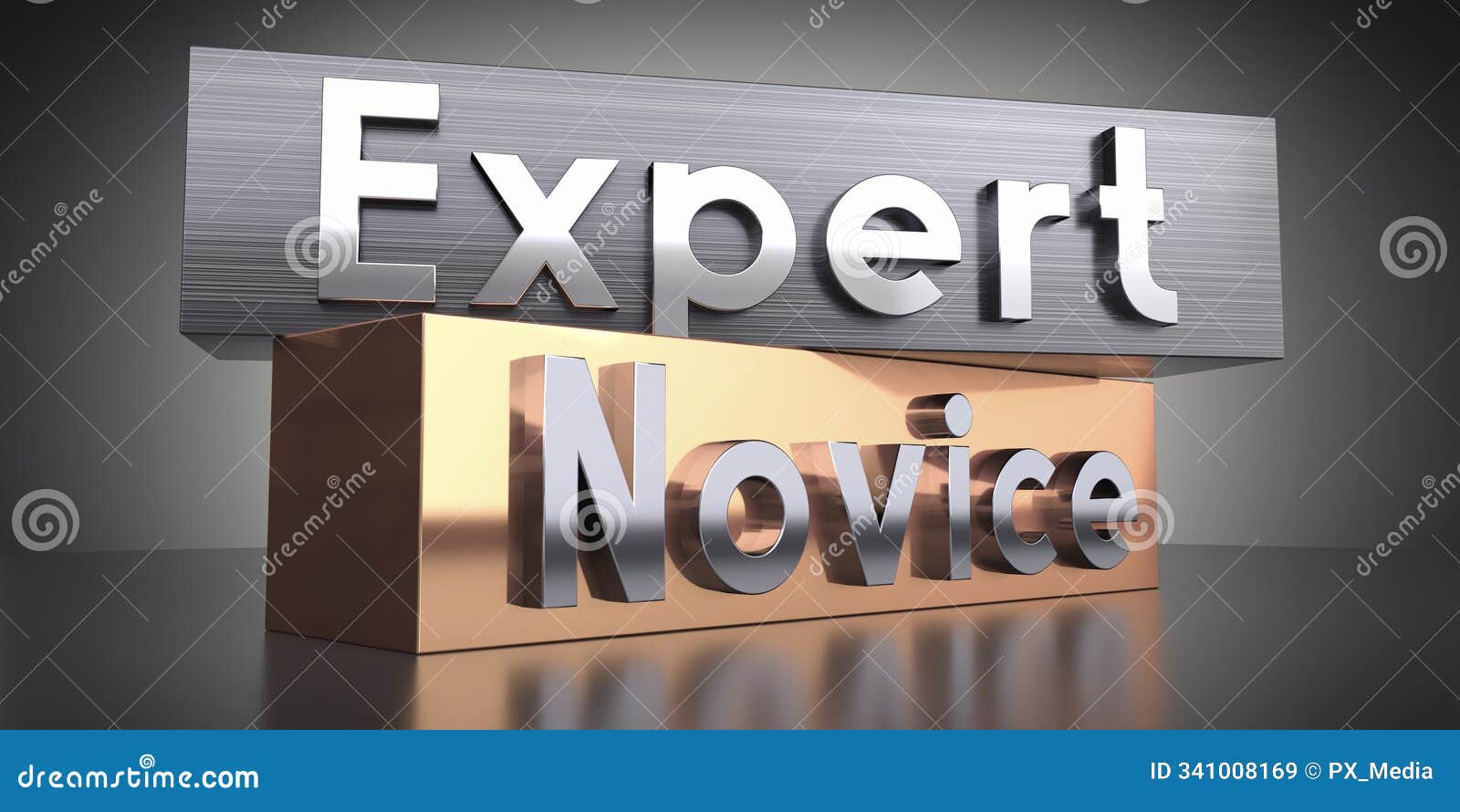 Expert, Novice - Words on Metal Blocks Stock Illustration ...