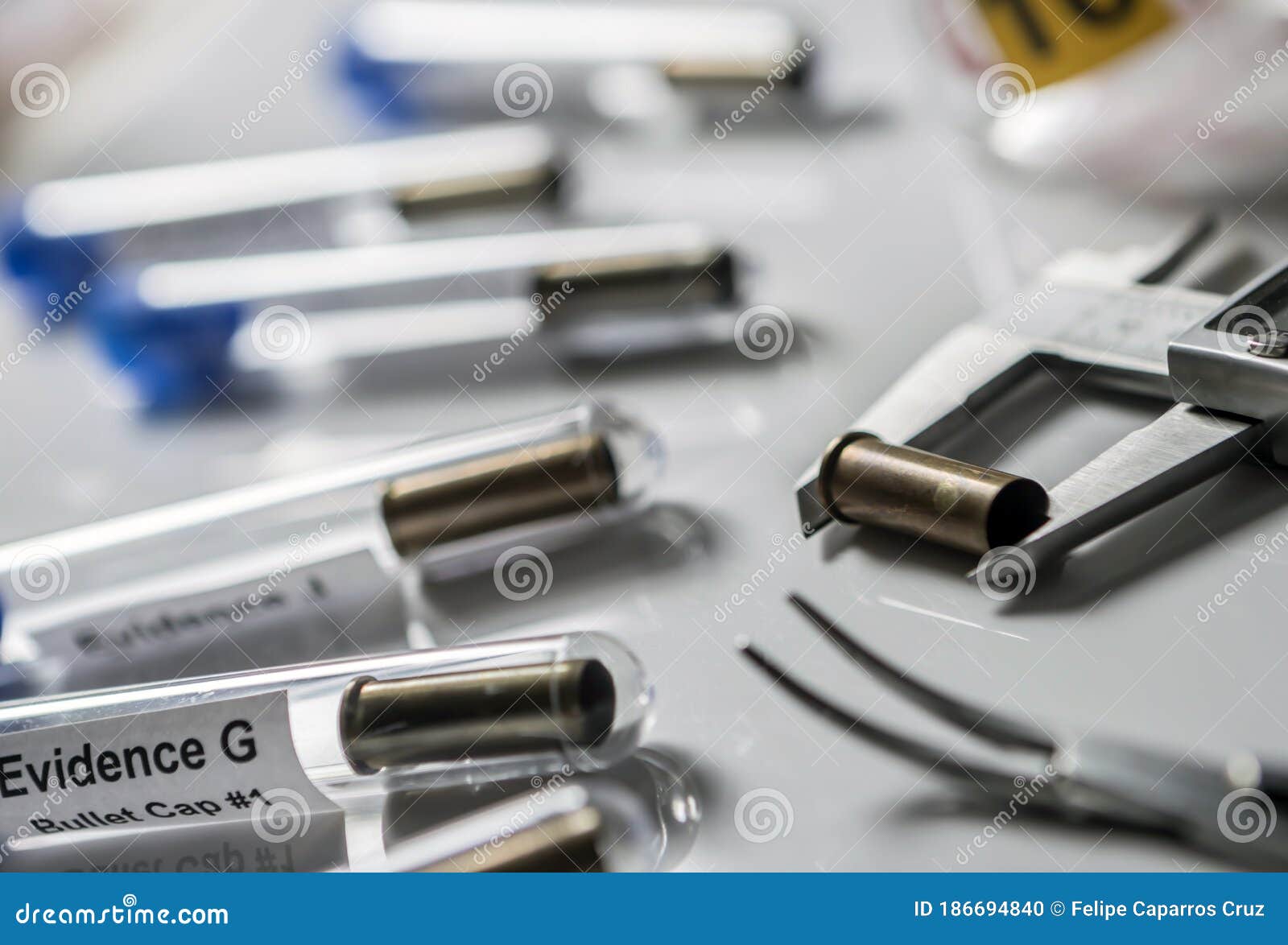 Expert Police Measures Bullet Caliber in Ballistic Lab Stock Photo ...