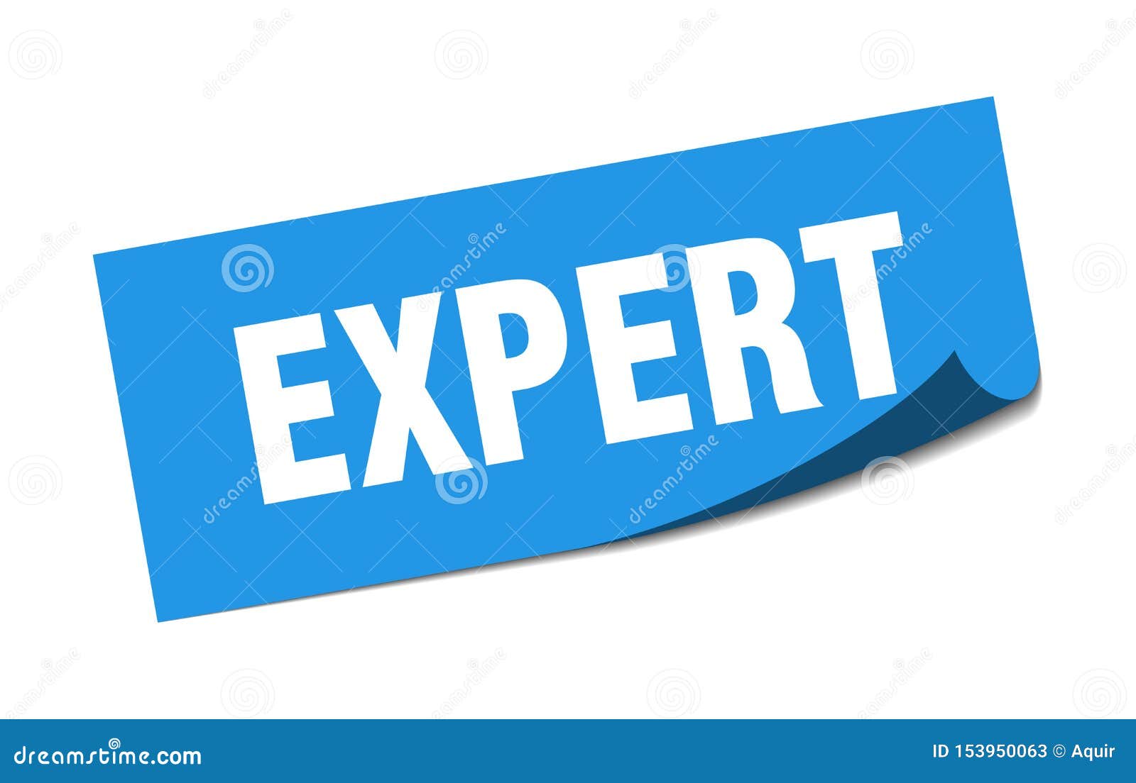 Expert sticker. stock vector. Illustration of peel, label - 153950063