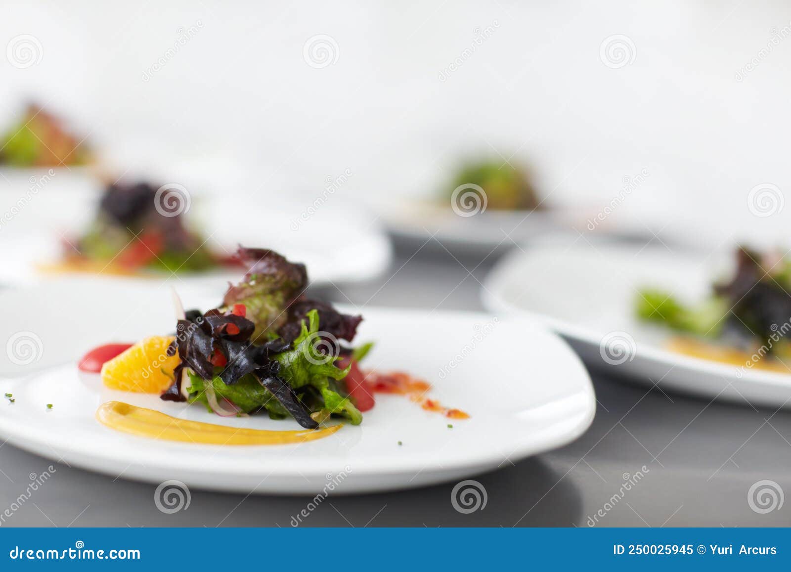 Expertly Prepared Salad. Multiple Plates of Well-prepared Salad Ready ...