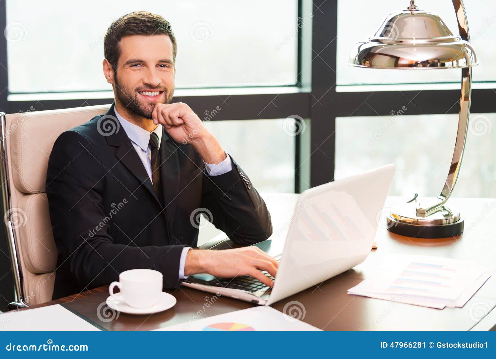 Experto Confiado Del Negocio Imagen de archivo - Imagen de experto ...