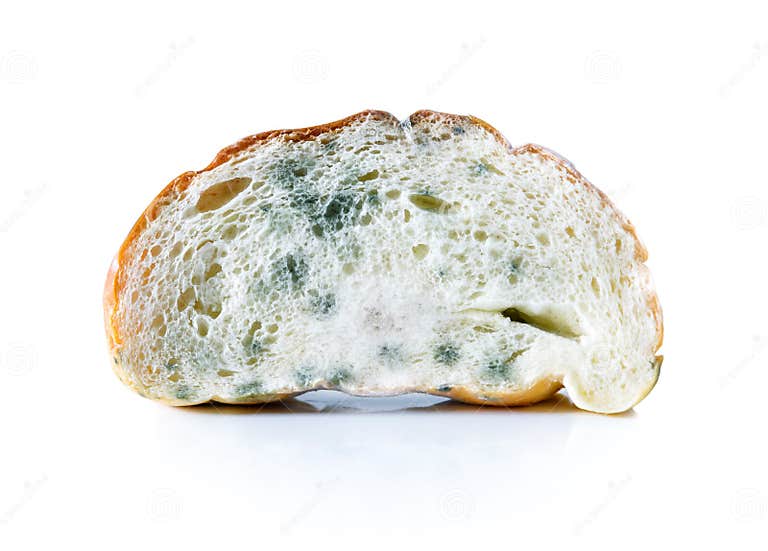 Expired Bread with Mold. Isolated on White Stock Image - Image of ...