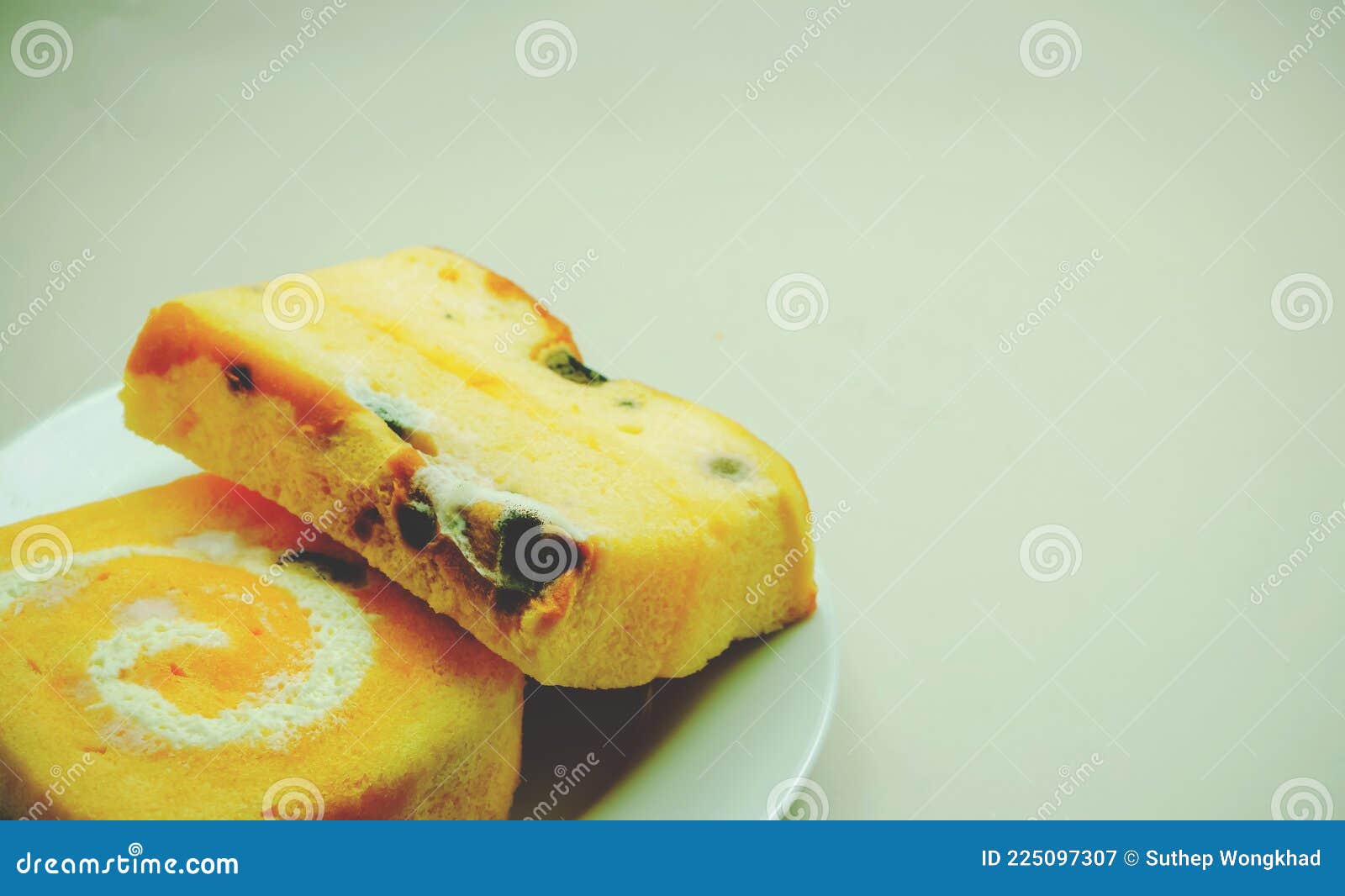 Expired and Spoiled Bread Cannot Be Eaten. an Example of an Expired and ... Expired and Spoiled Bread Cannot Be Eaten. an Example of an Expired and ...