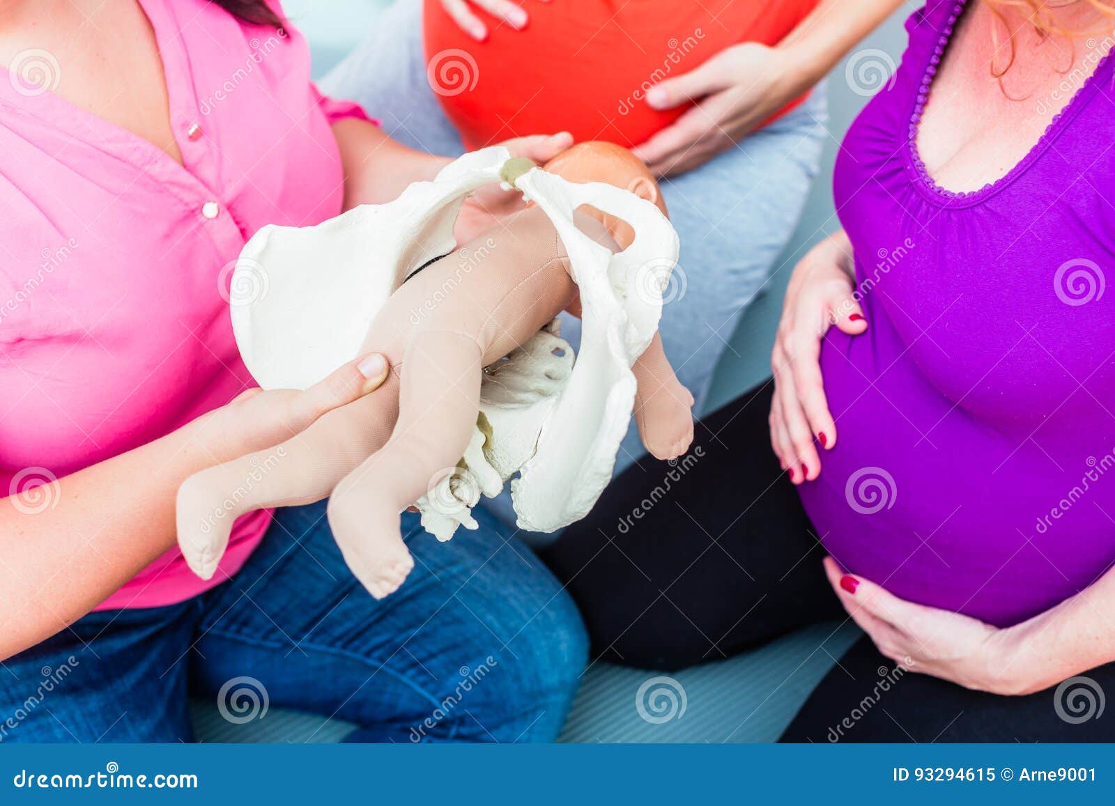 Explaining Birth Process with Anatomic Model of Pelvic Bones Stock ...