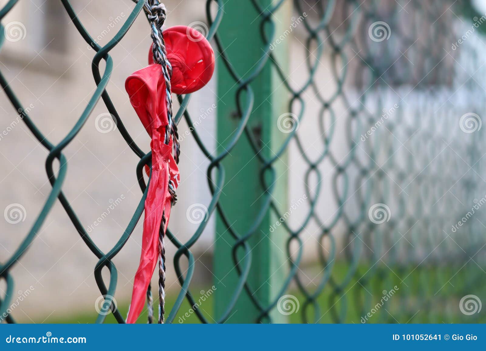 Exploded Balloon Hanging on Green Wire Mesh Stock Image - Image of ...