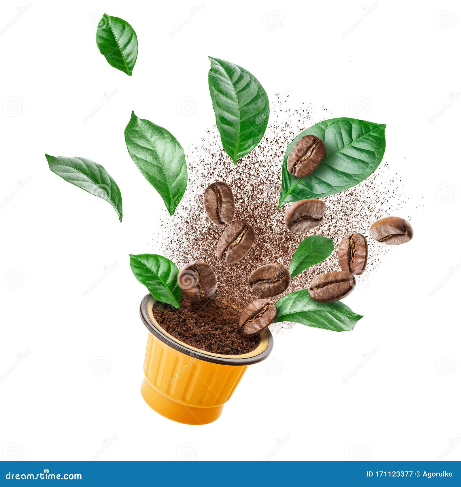 Exploded View of Coffee Grinder with Roasted Beans and Leaves Stock ...