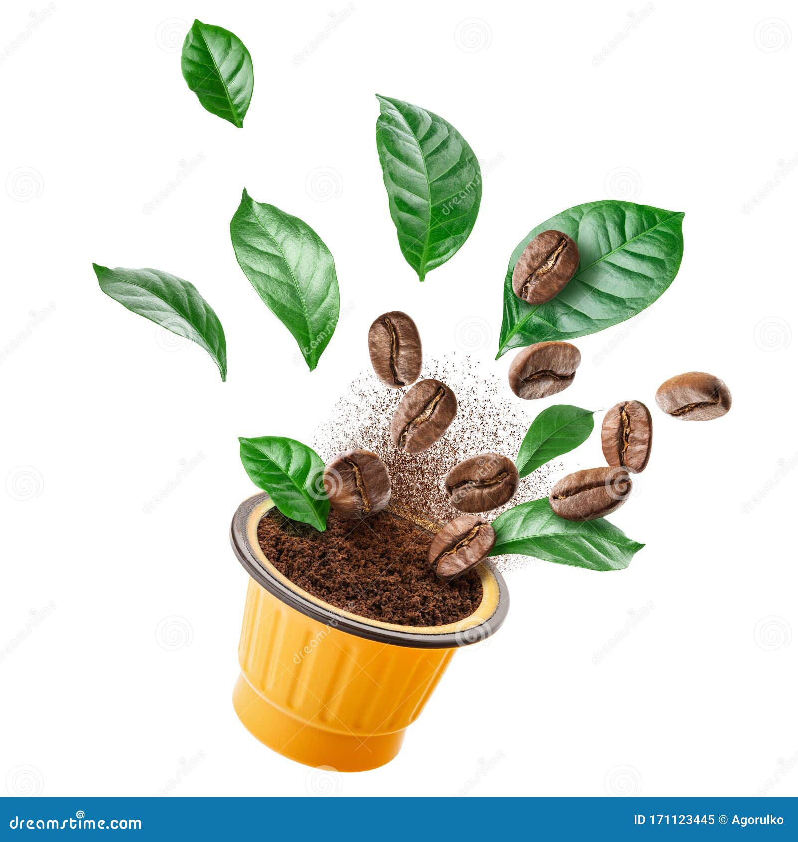 Exploded View of Coffee Grinder with Roasted Beans and Leaves Stock ...