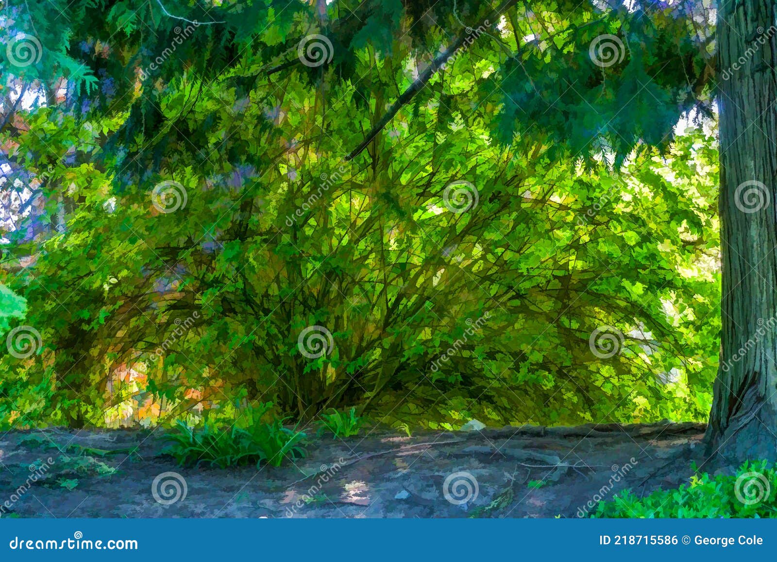 Exploding Bush Illustration Stock Illustration - Illustration of bush ...