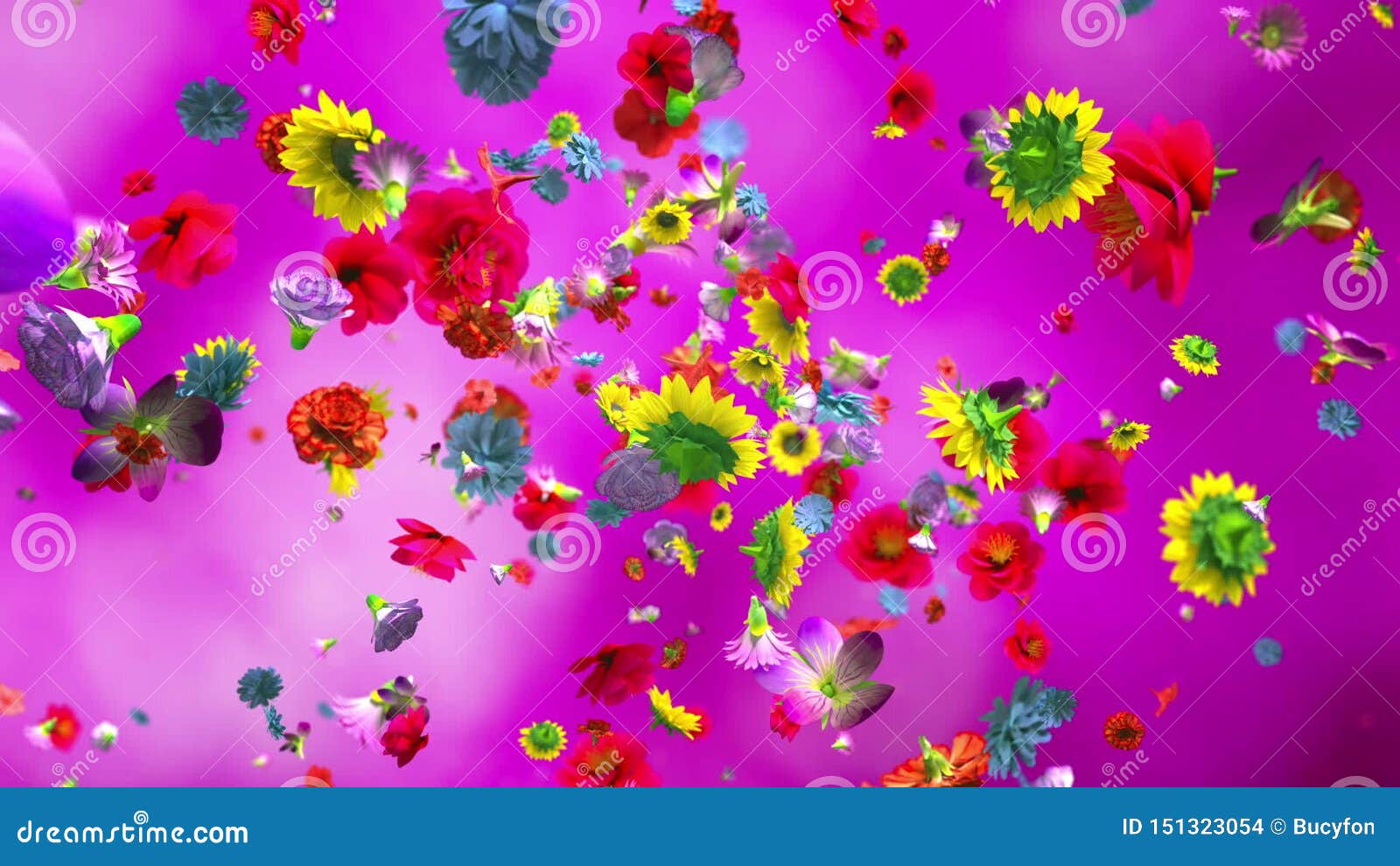 Exploding colorful flowers stock footage. Video of abstract - 151323054
