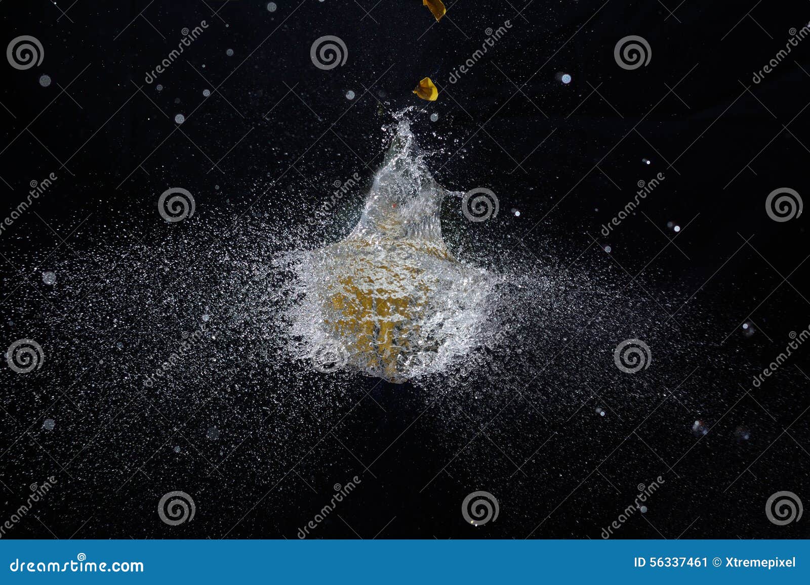 Exploding water balloon stock image. Image of droplets - 56337461