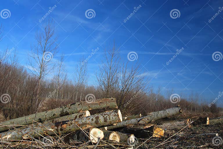 Exploitation stock photo. Image of label, cutting, pile - 4138828