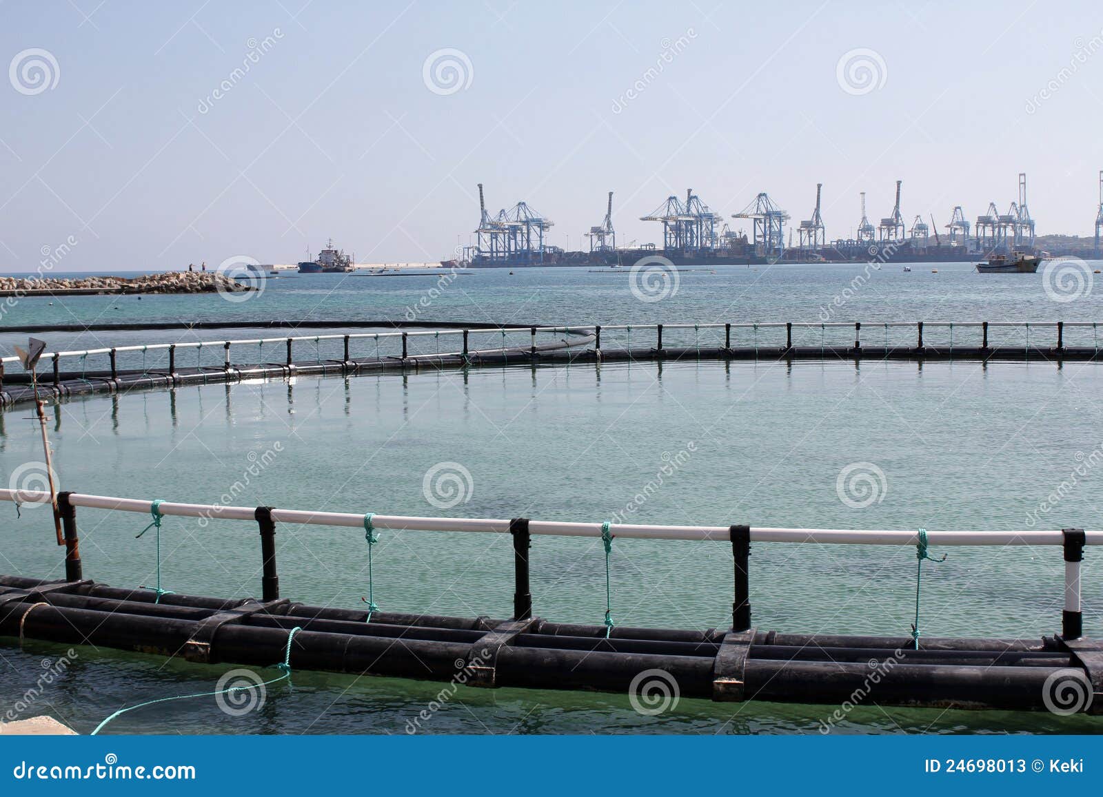 Exploitation De Pisciculture Image stock - Image du ancré, aquiculture ...