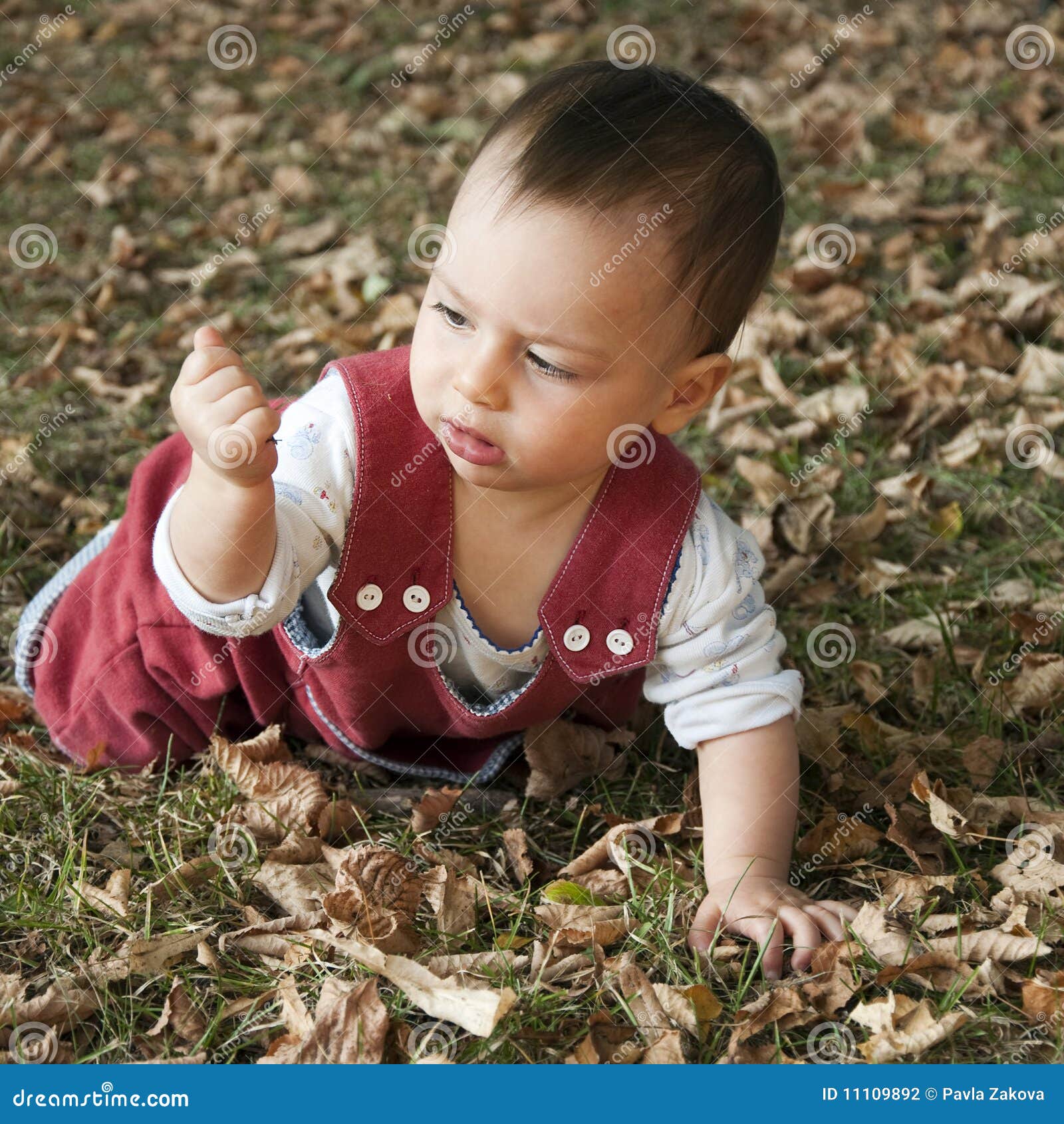 Exploración del bebé foto de archivo. Imagen de cierre - 11109892