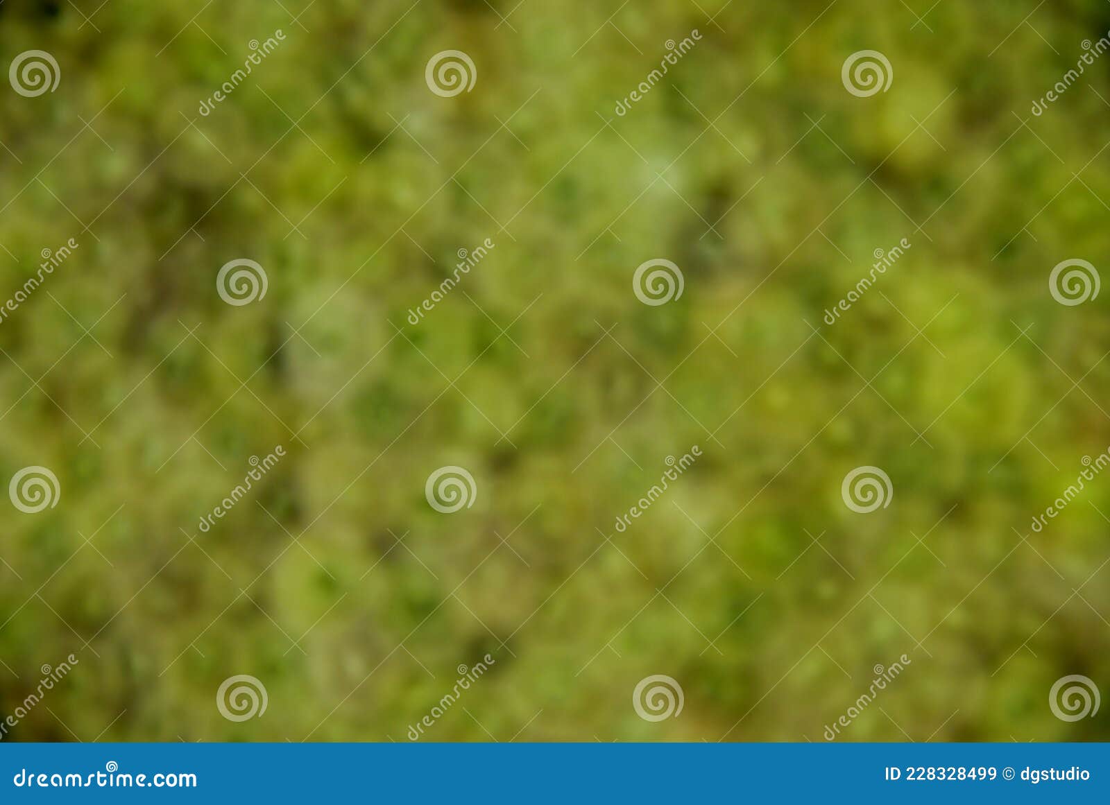 Green stock image. Image of microorganism, cells, slice - 228328499