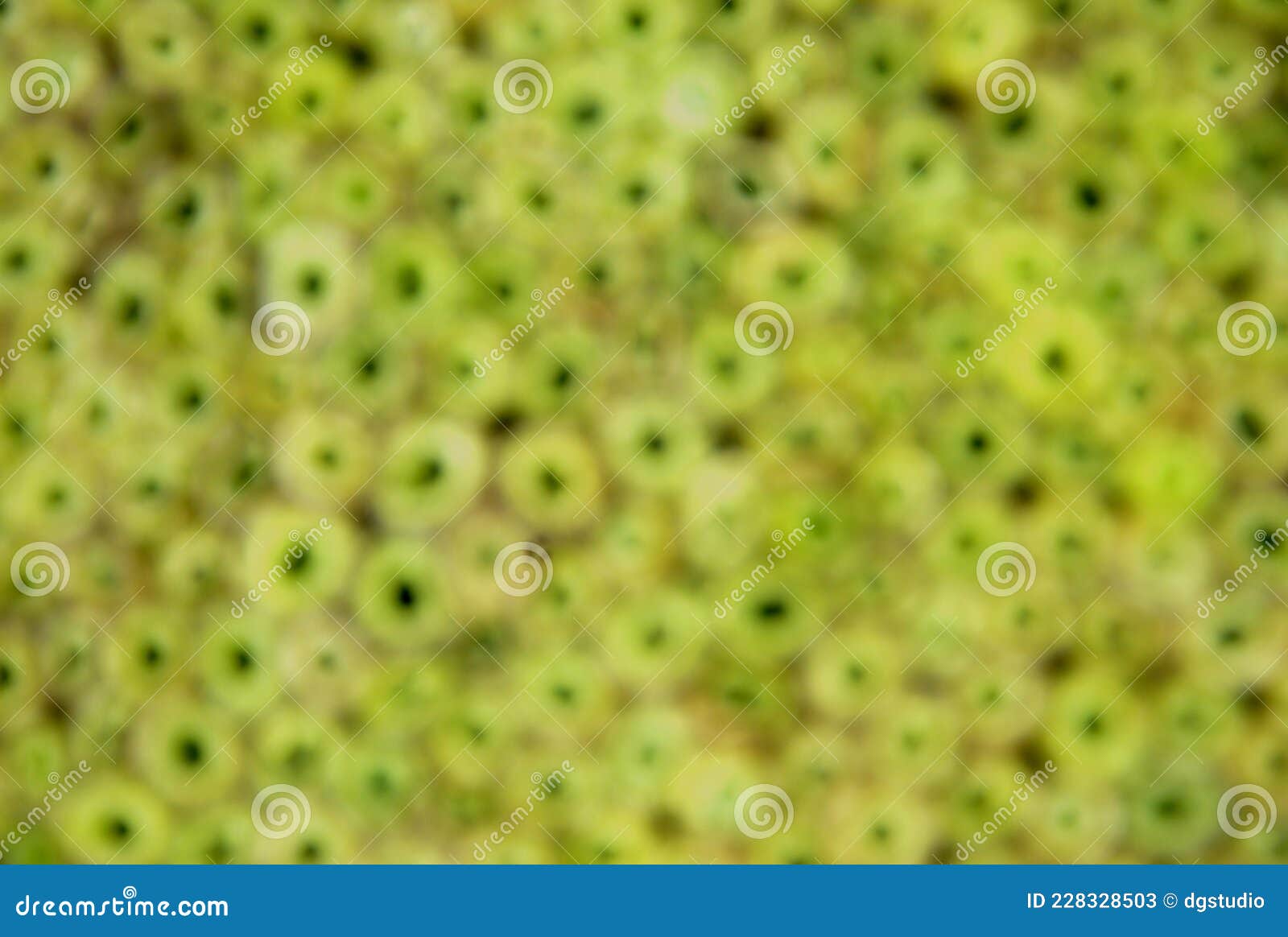 Microbe grass stock image. Image of microbe, exploration - 228328503