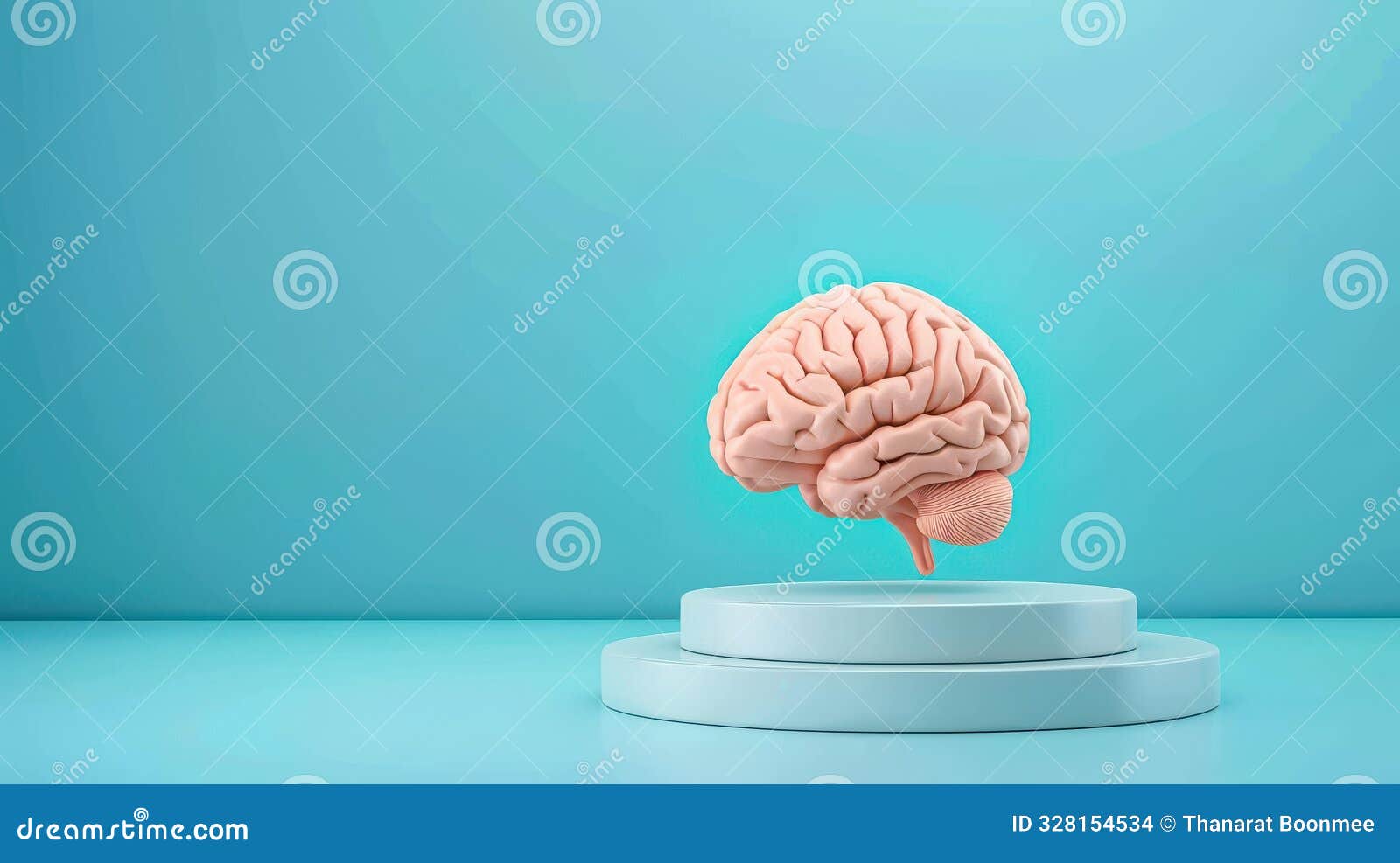 Explore a Detailed and Medically Accurate View of the Human Brain ...