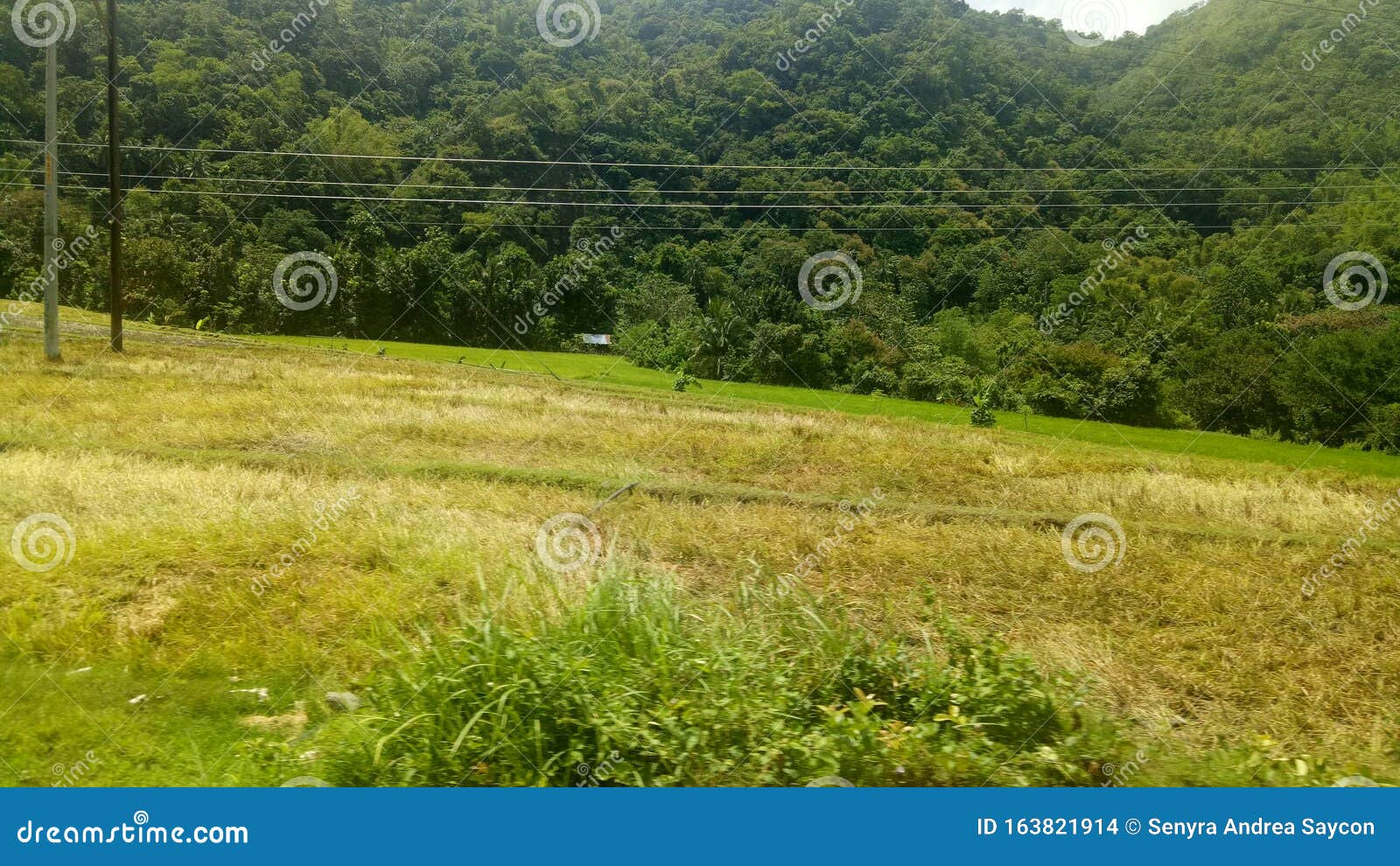 Explore Different Places in Region6 Philippines. Stock Photo - Image of ...