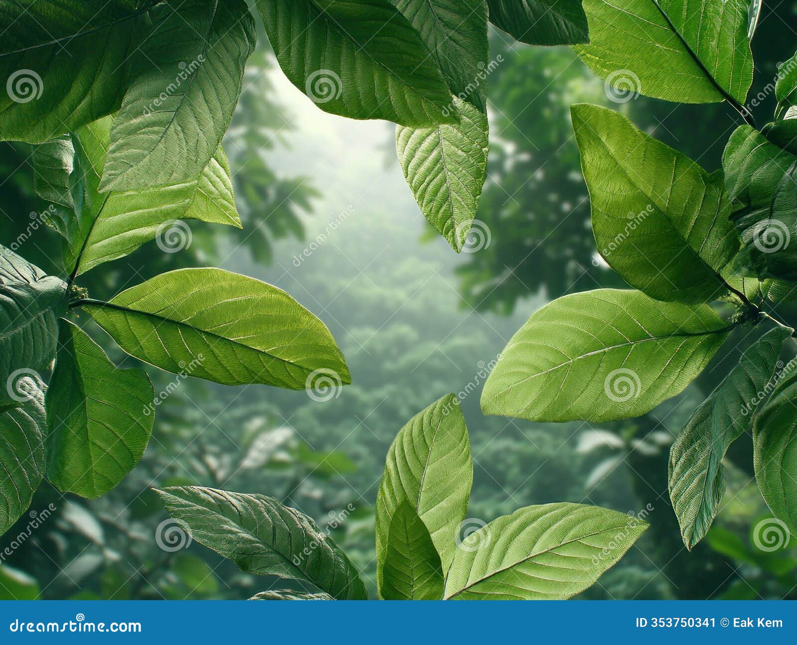 Explore Earth Care And Ecosystem Awareness With This Lush Forest Image, Revealing A Vibrant ...