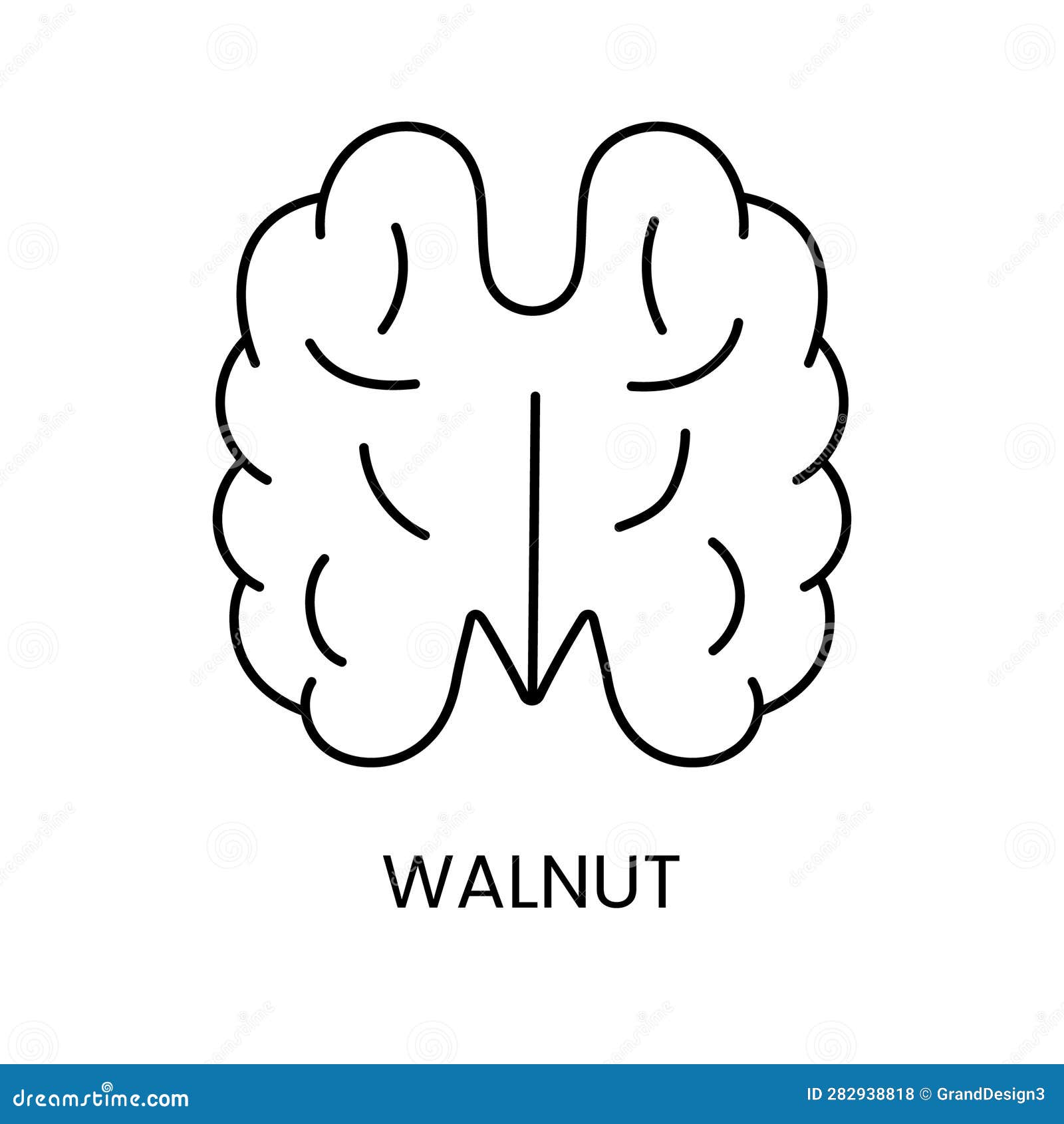 Explore the Elegance of Walnut, a Captivating Line Vector Icon ...