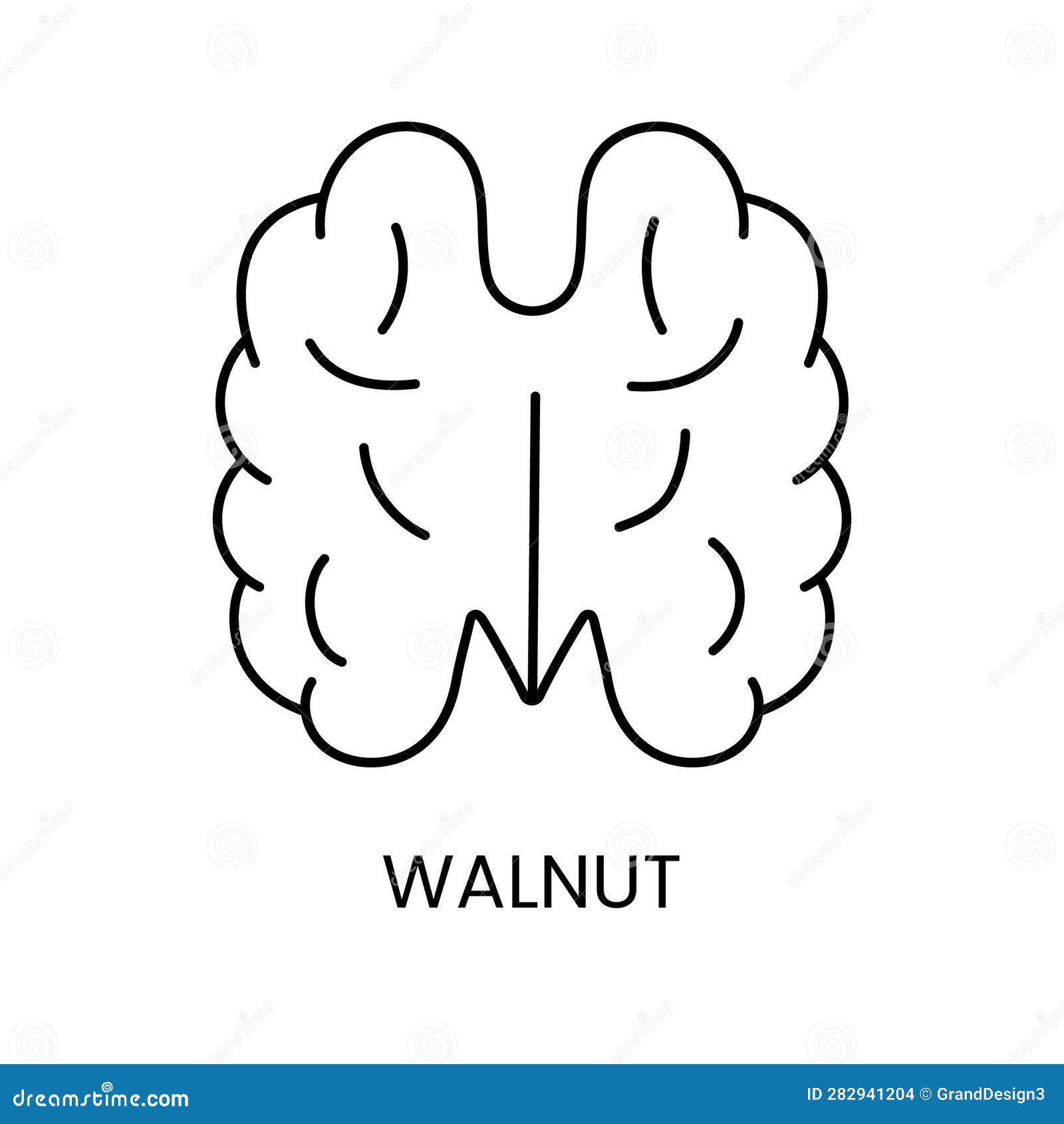 Explore the Elegance of Walnut, a Captivating Line Vector Icon ...