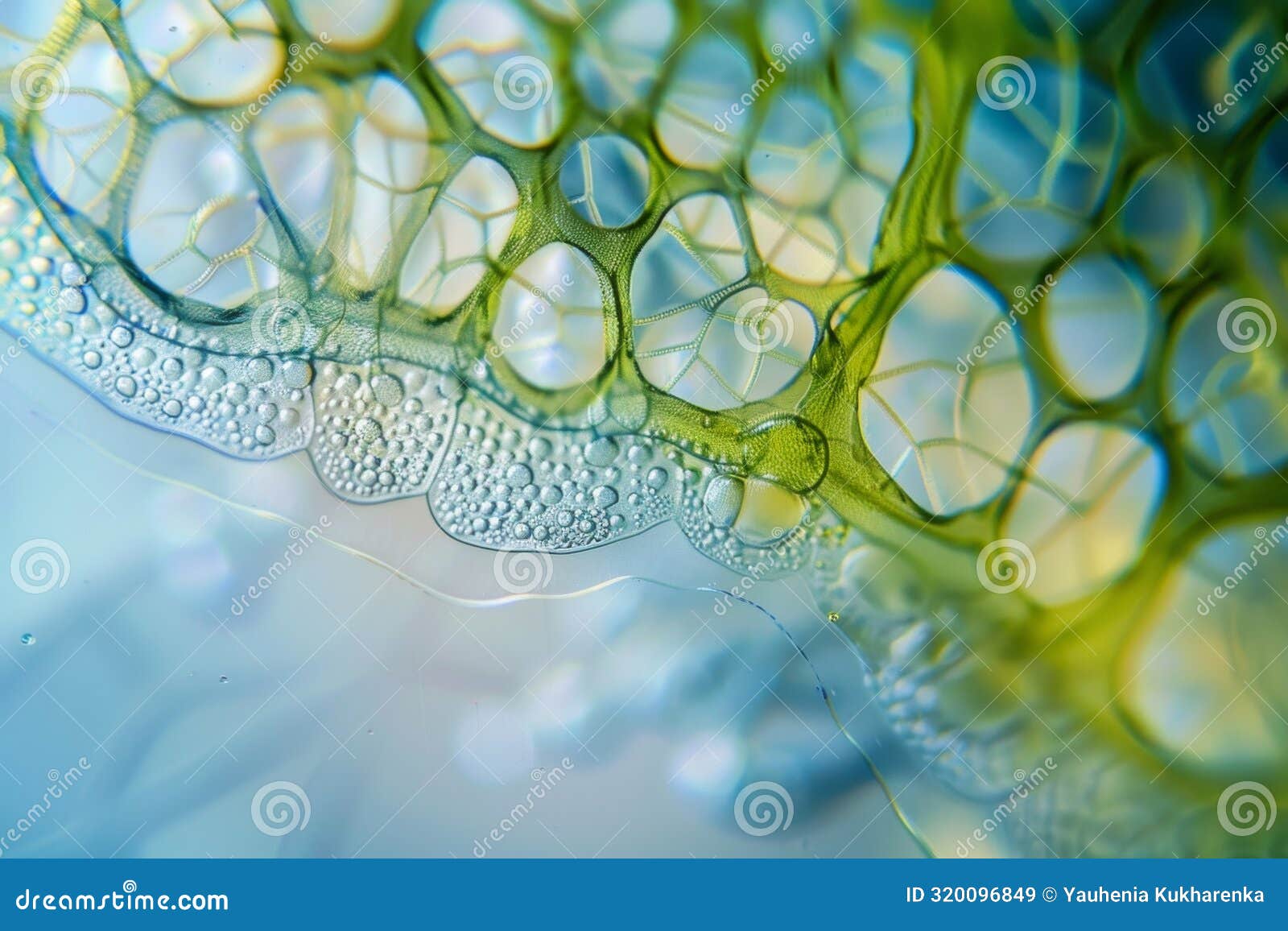Intricate Structures of a Plant Cell Stock Illustration - Illustration ...