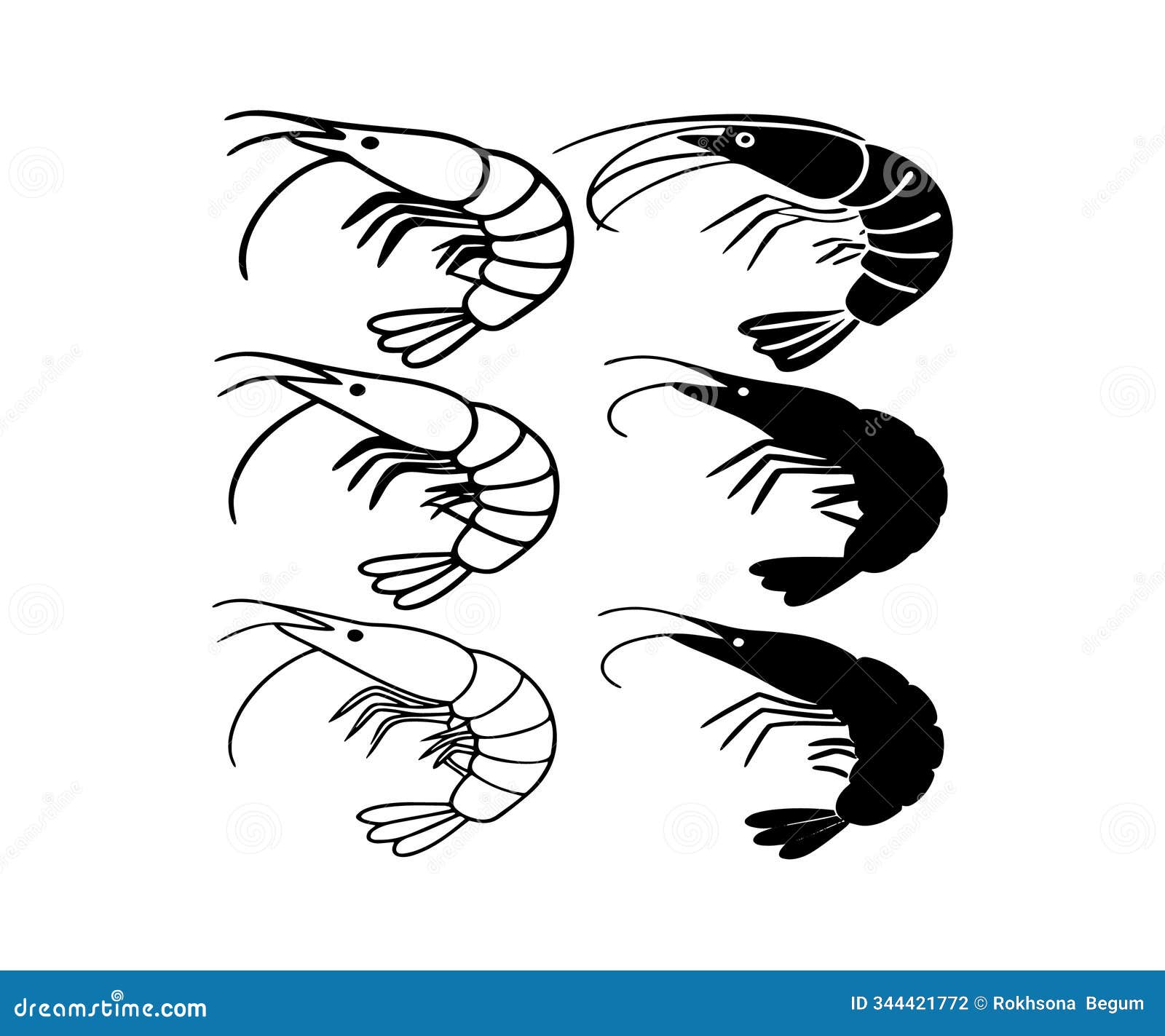 Explore the Fluidity and Grace of Shrimp with this Exquisite Series of ...