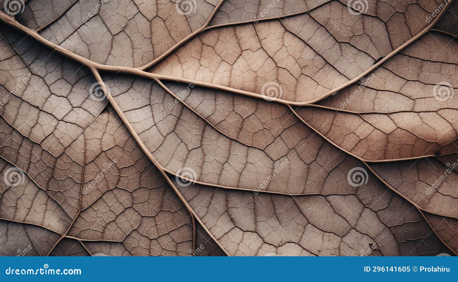Texture and Nature Harmony stock illustration. Illustration of patterns ...