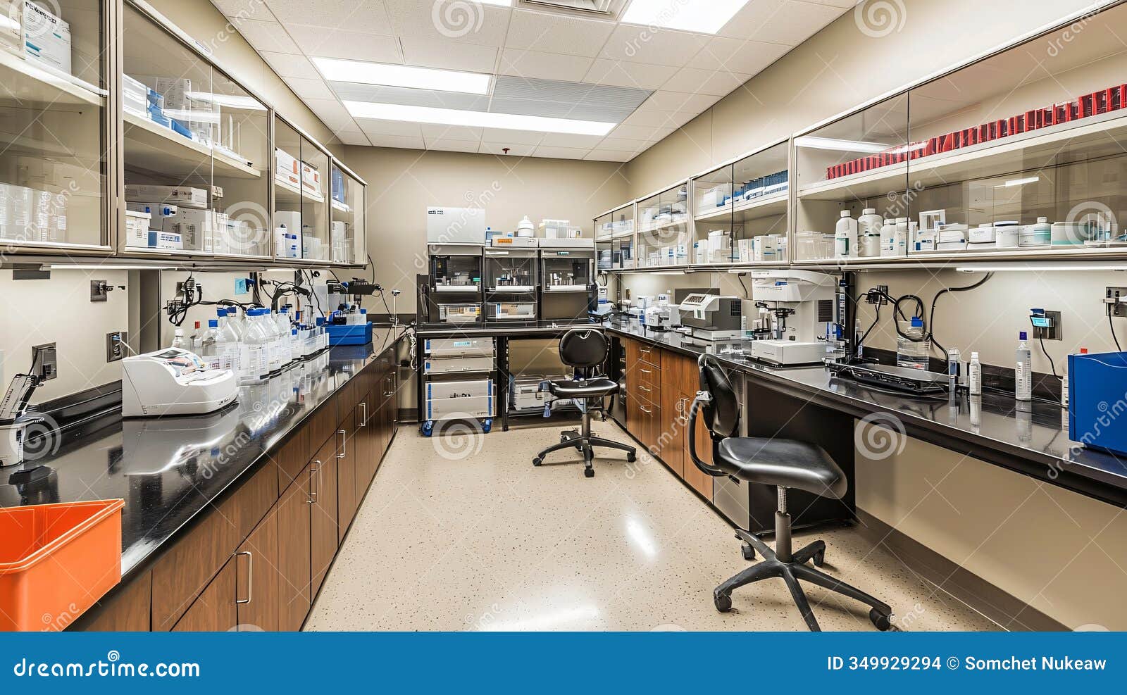Explore the Innovative Immune Response Research Center a Cutting-edge ...