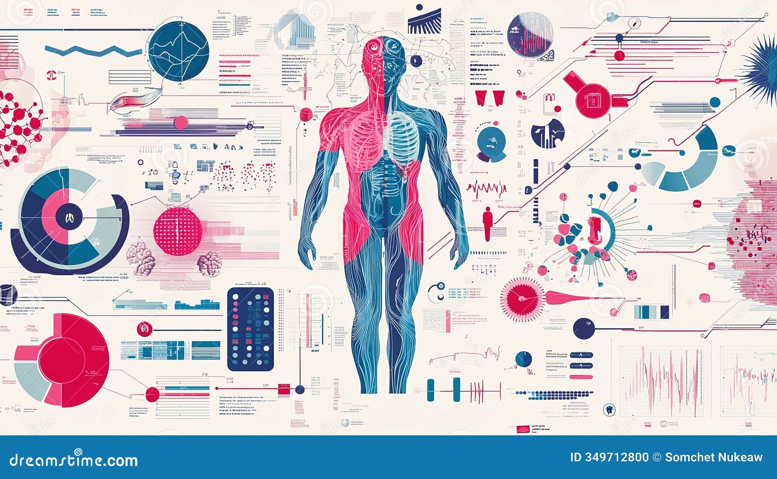 Explore the Intricacies of the Human Body through a Detailed ...